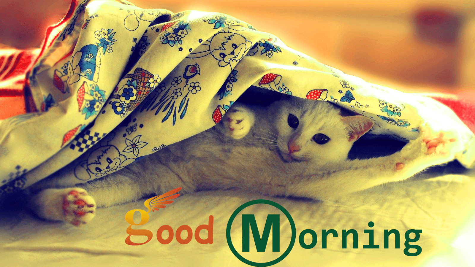 Cute Good Morning Wallpapers - Top Free Cute Good Morning Backgrounds ...