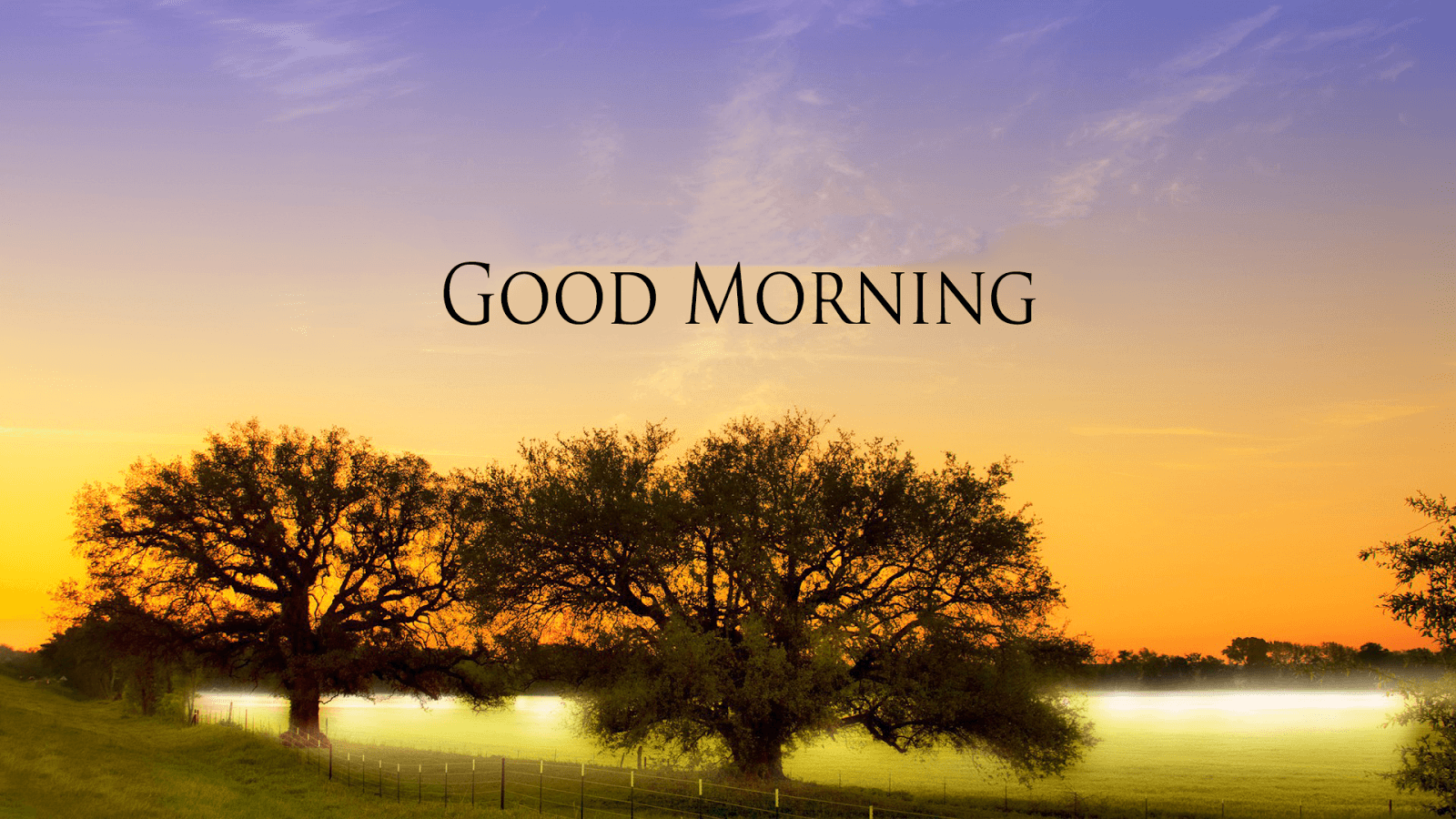 Morning HD Wallpapers - Top Free Morning HD Backgrounds - WallpaperAccess
