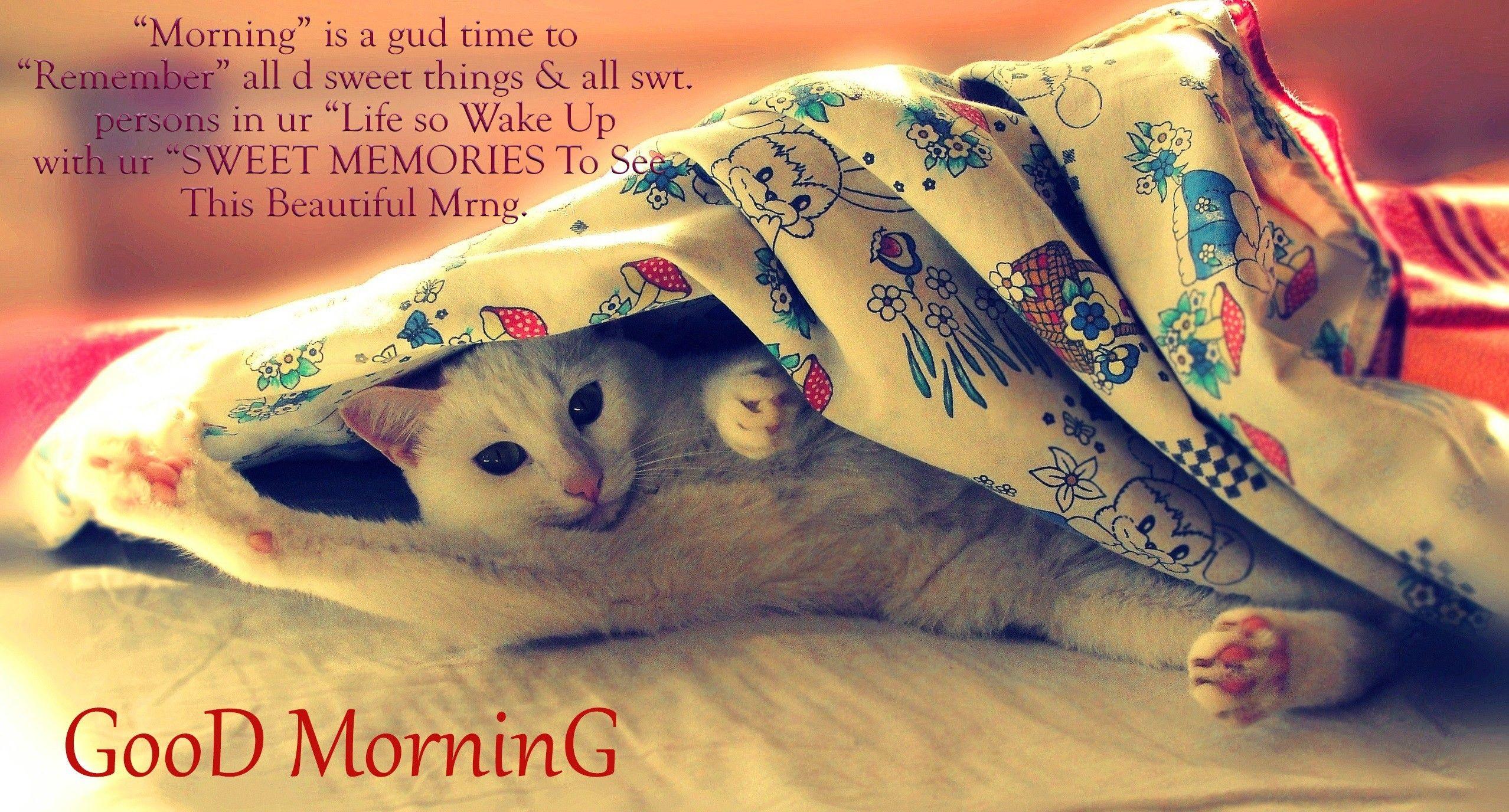 Cute Good Morning Wallpapers - Top Free Cute Good Morning Backgrounds ...