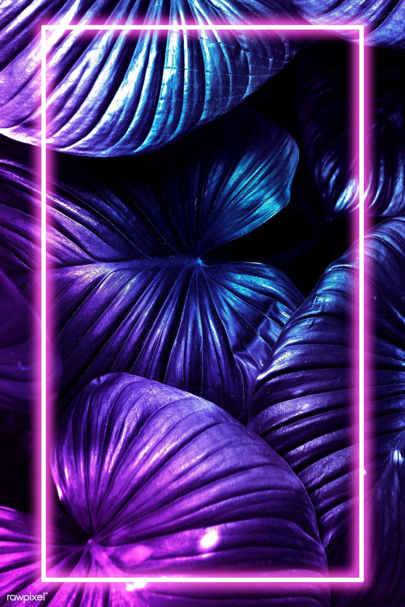 Neon Jungle Wallpapers - Top Free Neon Jungle Backgrounds - WallpaperAccess