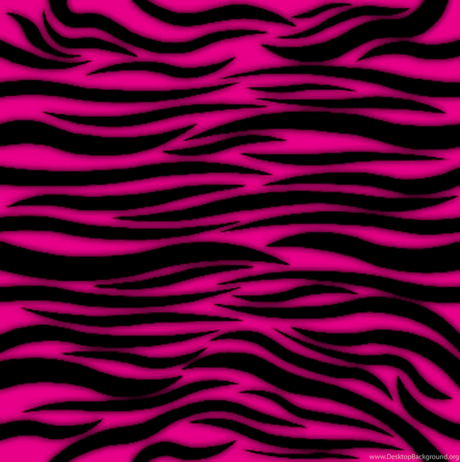 Pink Zebra Wallpapers - Top Free Pink Zebra Backgrounds - WallpaperAccess