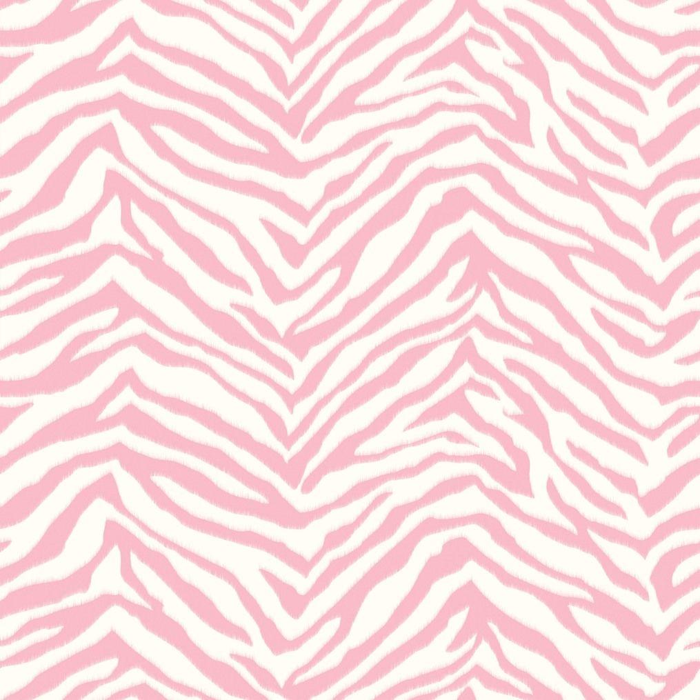 Pink Zebra Wallpapers - Top Free Pink Zebra Backgrounds - WallpaperAccess