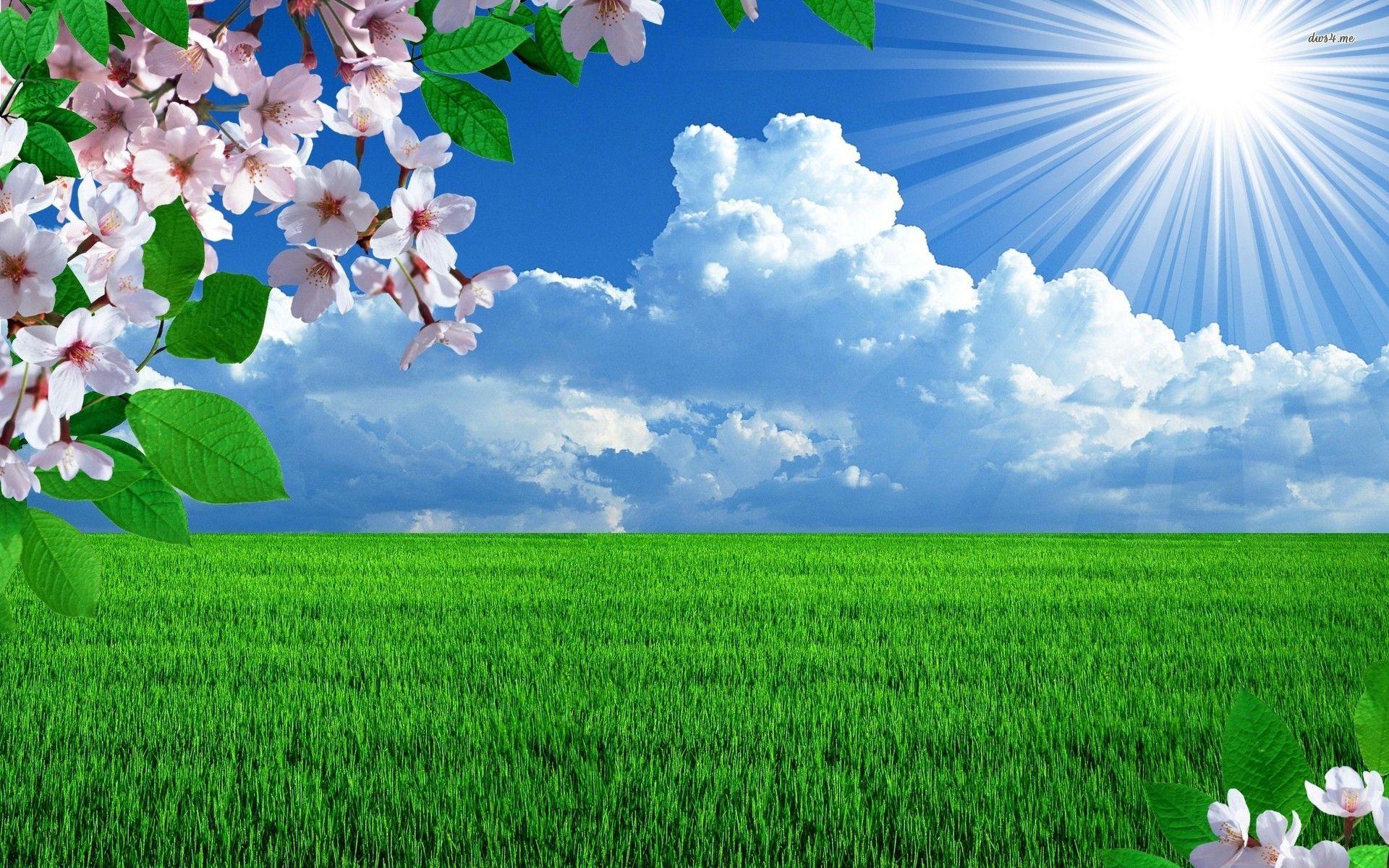 Beautiful Spring Morning Wallpapers - Top Free Beautiful Spring Morning ...