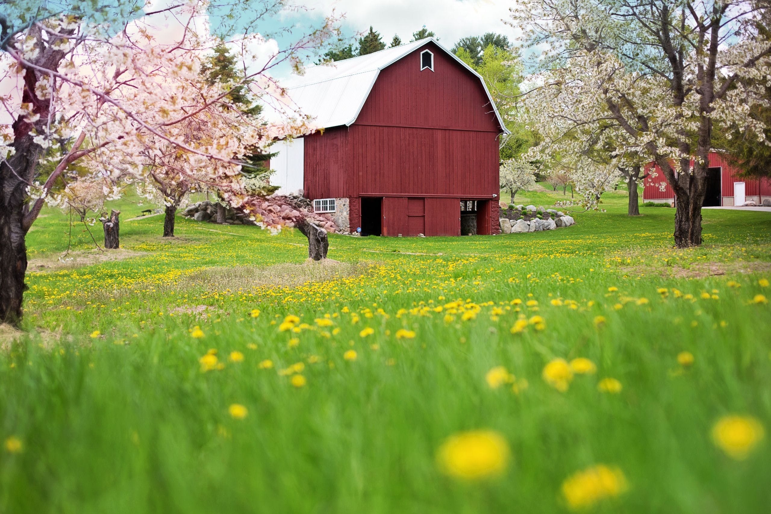 Spring Barn Wallpapers - Top Free Spring Barn Backgrounds - WallpaperAccess