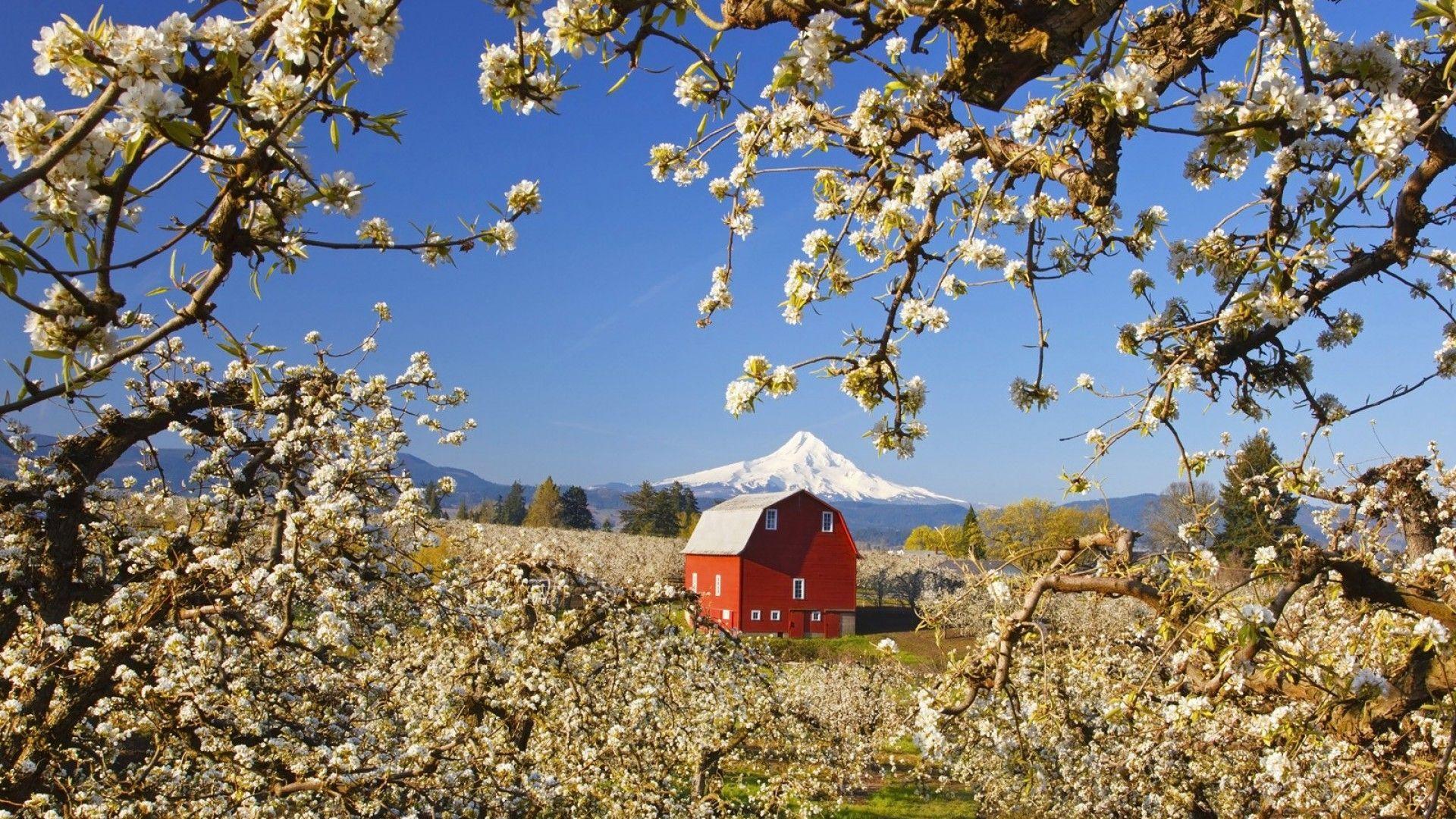 Spring Barn Wallpapers - Top Free Spring Barn Backgrounds - WallpaperAccess