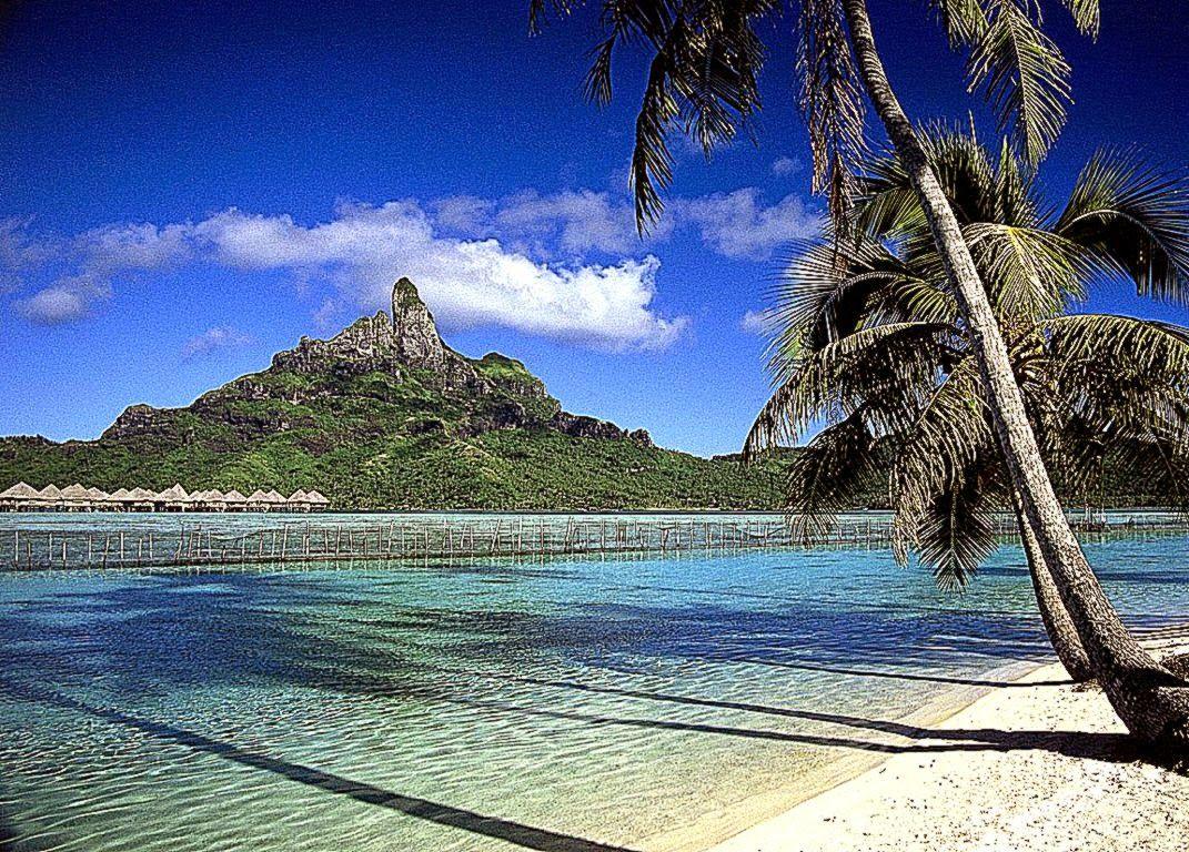 3D Summer Scenery Wallpapers - Top Free 3D Summer Scenery Backgrounds ...