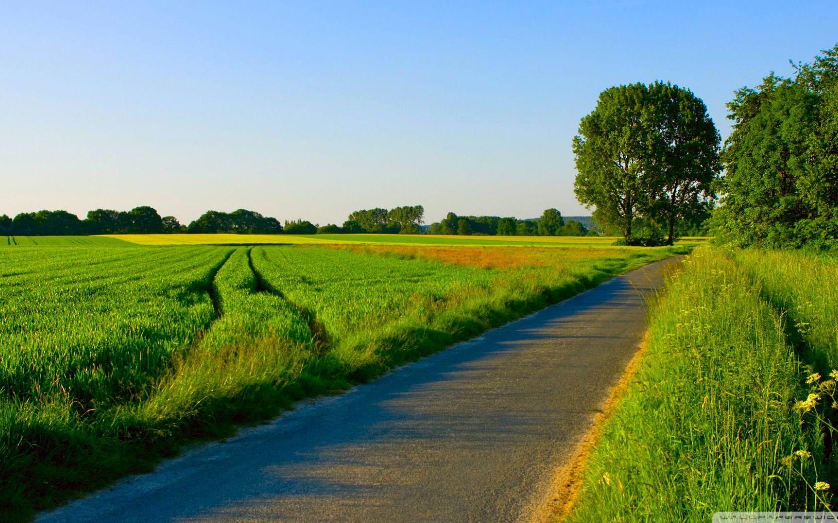 3D Summer Scenery Wallpapers - Top Free 3D Summer Scenery Backgrounds ...