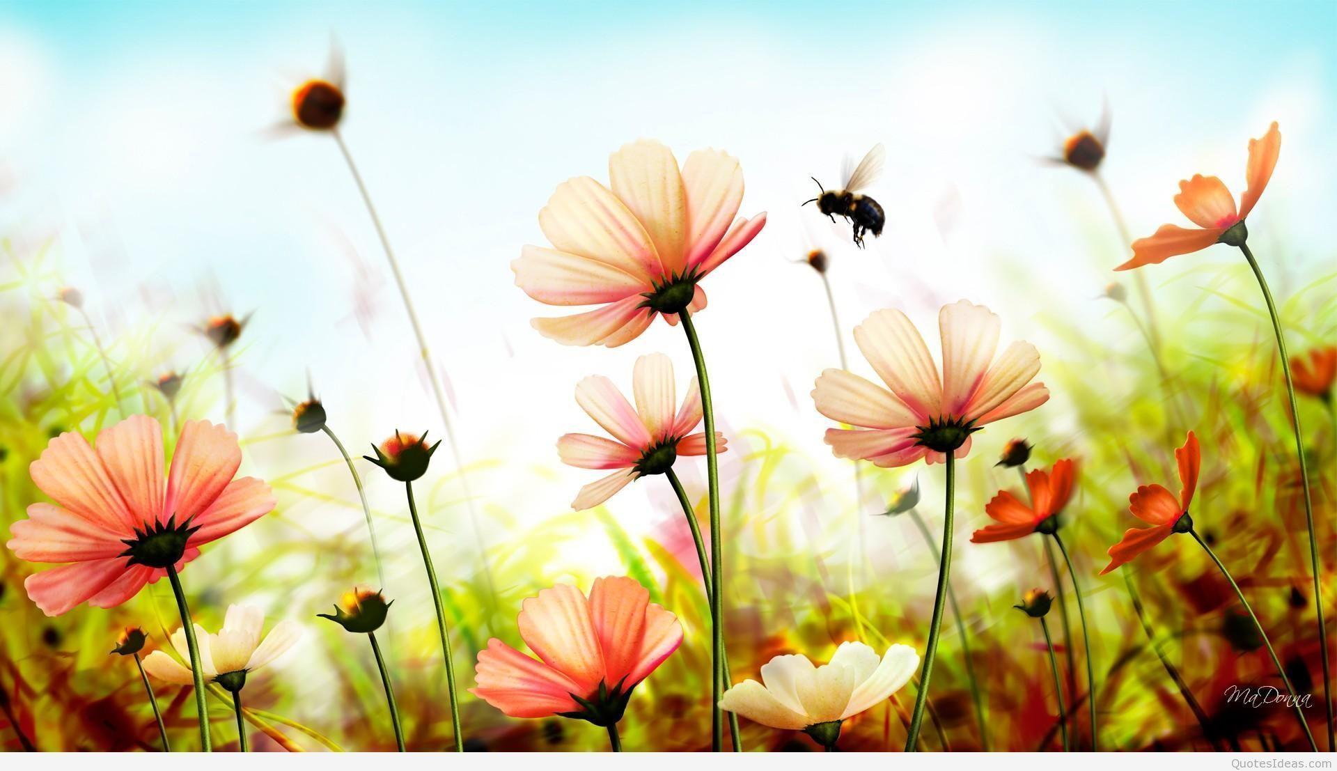 3D Summer Scenery Wallpapers - Top Free 3D Summer Scenery Backgrounds ...