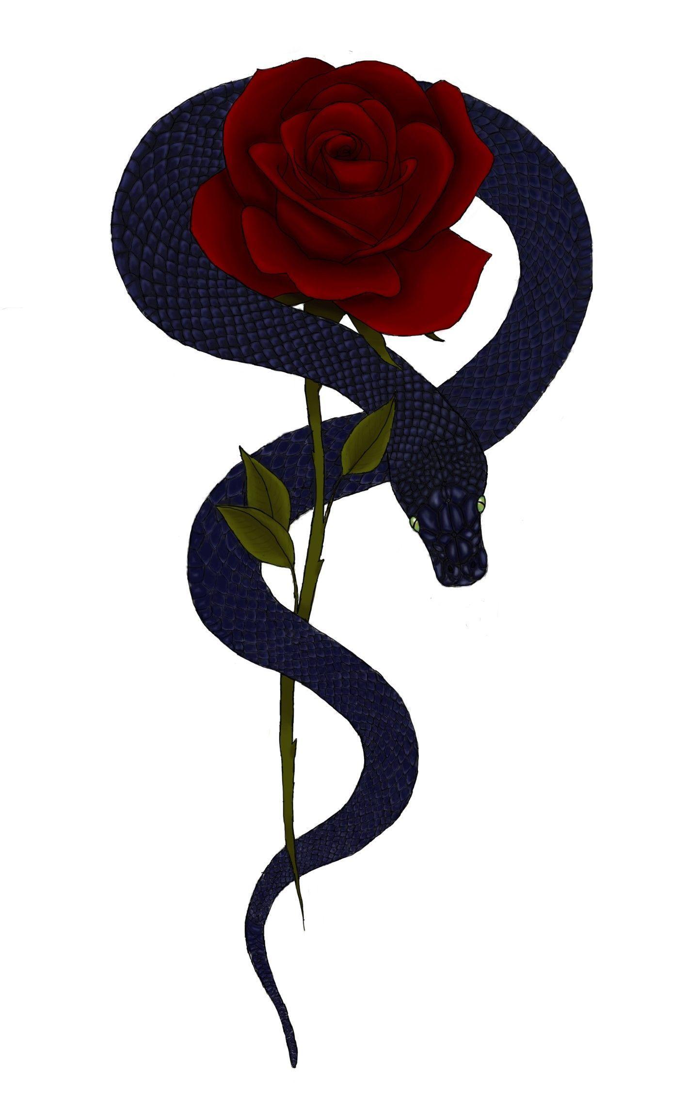 Rose Snake Wallpapers - Top Free Rose Snake Backgrounds - WallpaperAccess