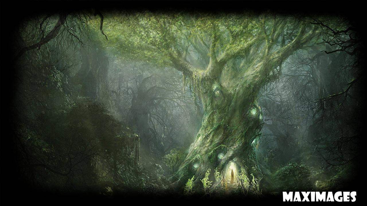 Magical Tree Wallpapers - Top Free Magical Tree Backgrounds ...
