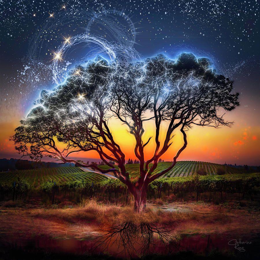 Magical Tree Wallpapers - Top Free Magical Tree Backgrounds ...