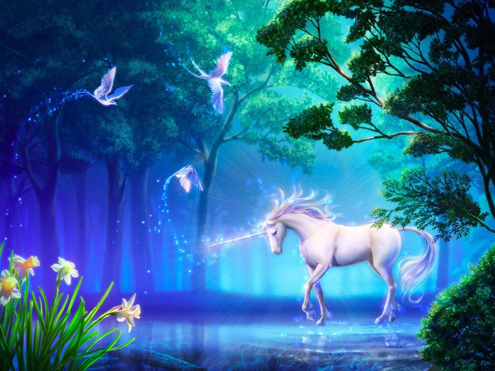Magical Laptop Wallpapers - Top Free Magical Laptop Backgrounds ...
