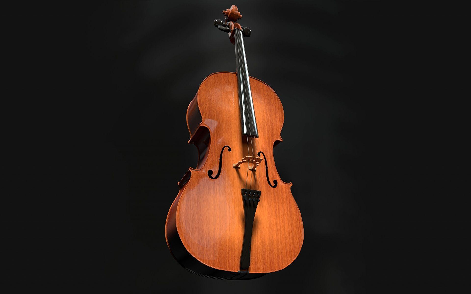 Double Bass Wallpapers - Top Free Double Bass Backgrounds - WallpaperAccess