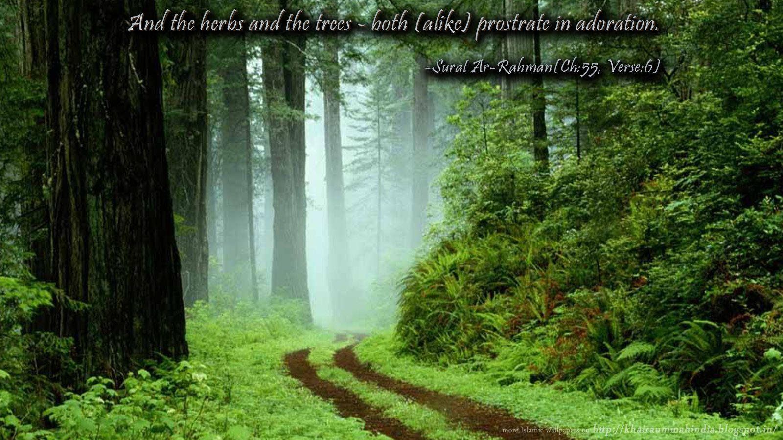 Surat Wallpapers - Top Free Surat Backgrounds - WallpaperAccess