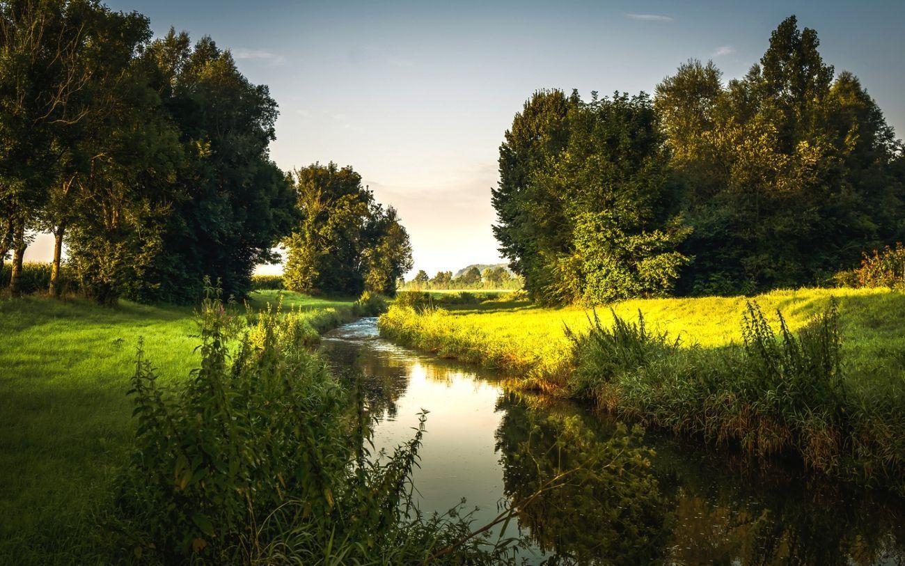 Nature 10k Wallpapers - Top Free Nature 10k Backgrounds - WallpaperAccess