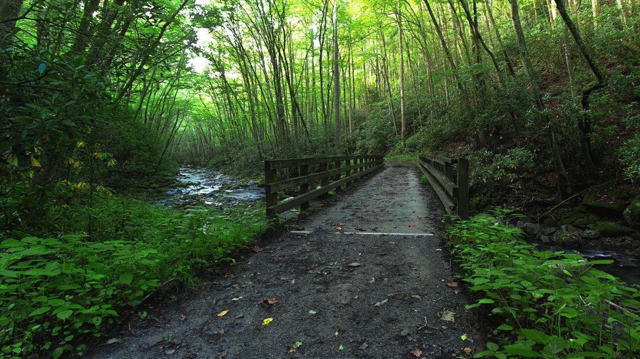 Nature 10k Wallpapers - Top Free Nature 10k Backgrounds - WallpaperAccess