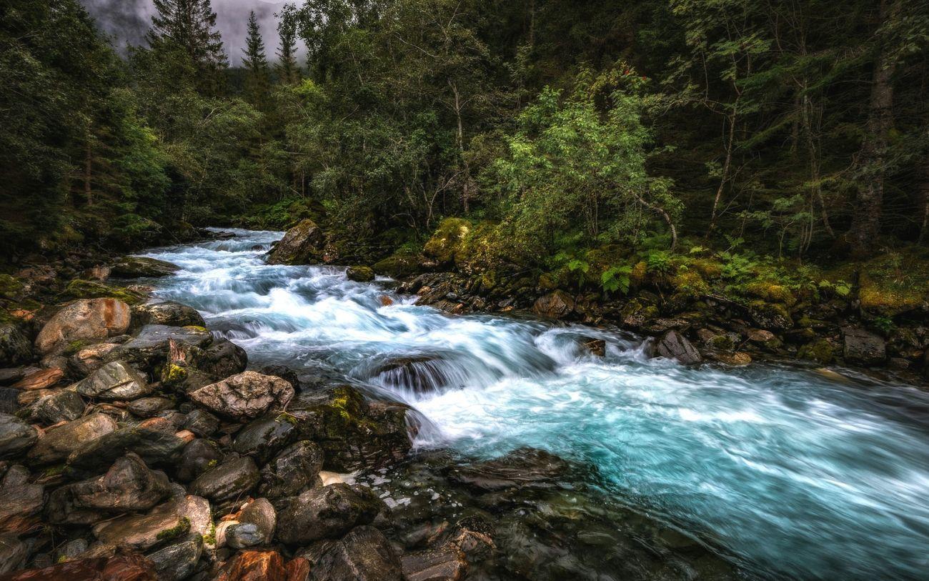 Nature 10k Wallpapers - Top Free Nature 10k Backgrounds - WallpaperAccess