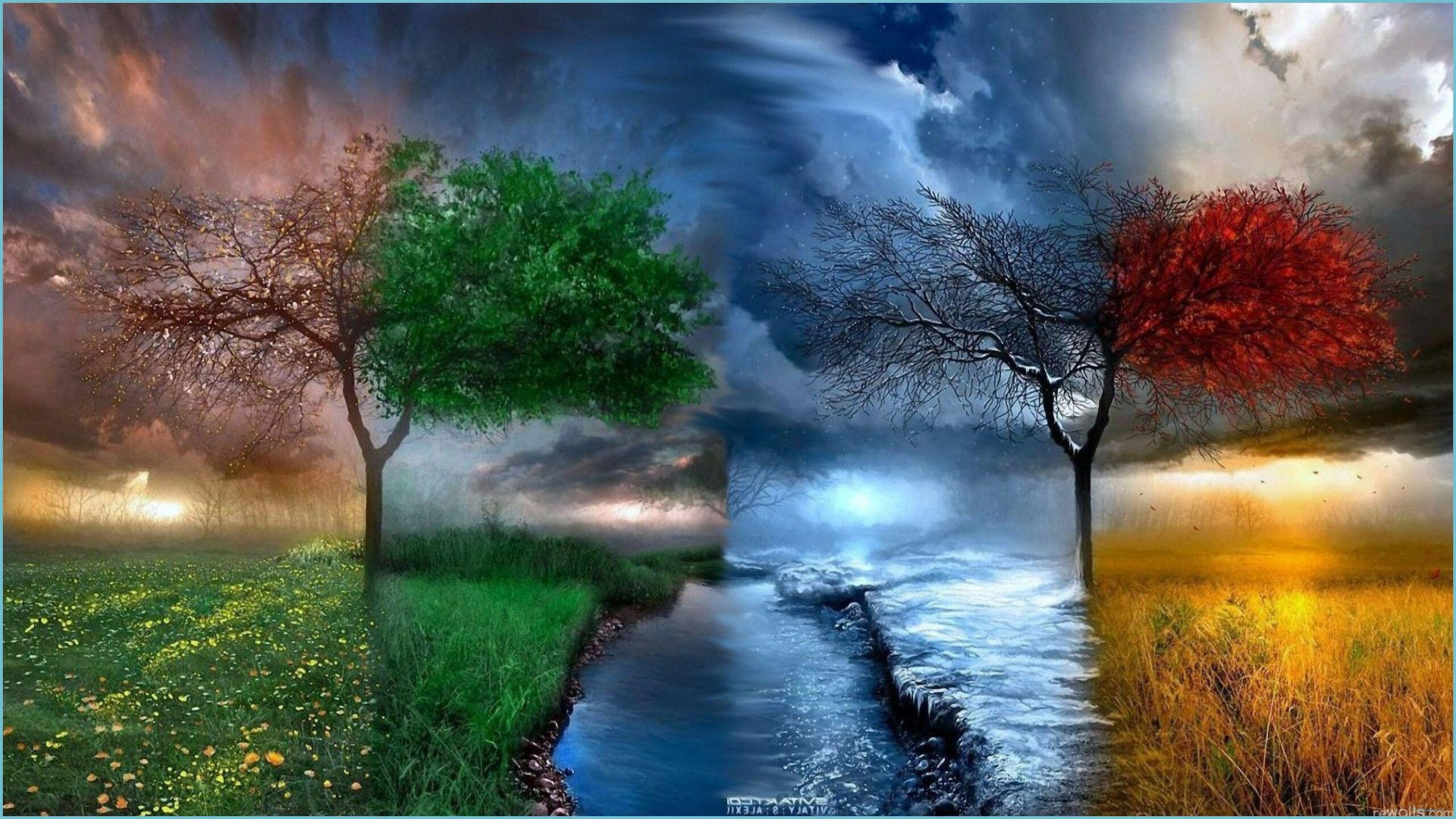 Nature 10k Wallpapers - Top Free Nature 10k Backgrounds - WallpaperAccess