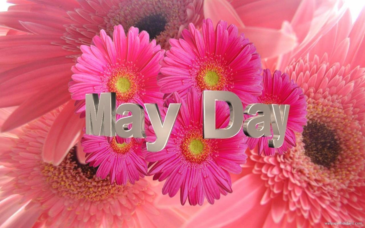 May Day Wallpapers - Top Free May Day Backgrounds - WallpaperAccess