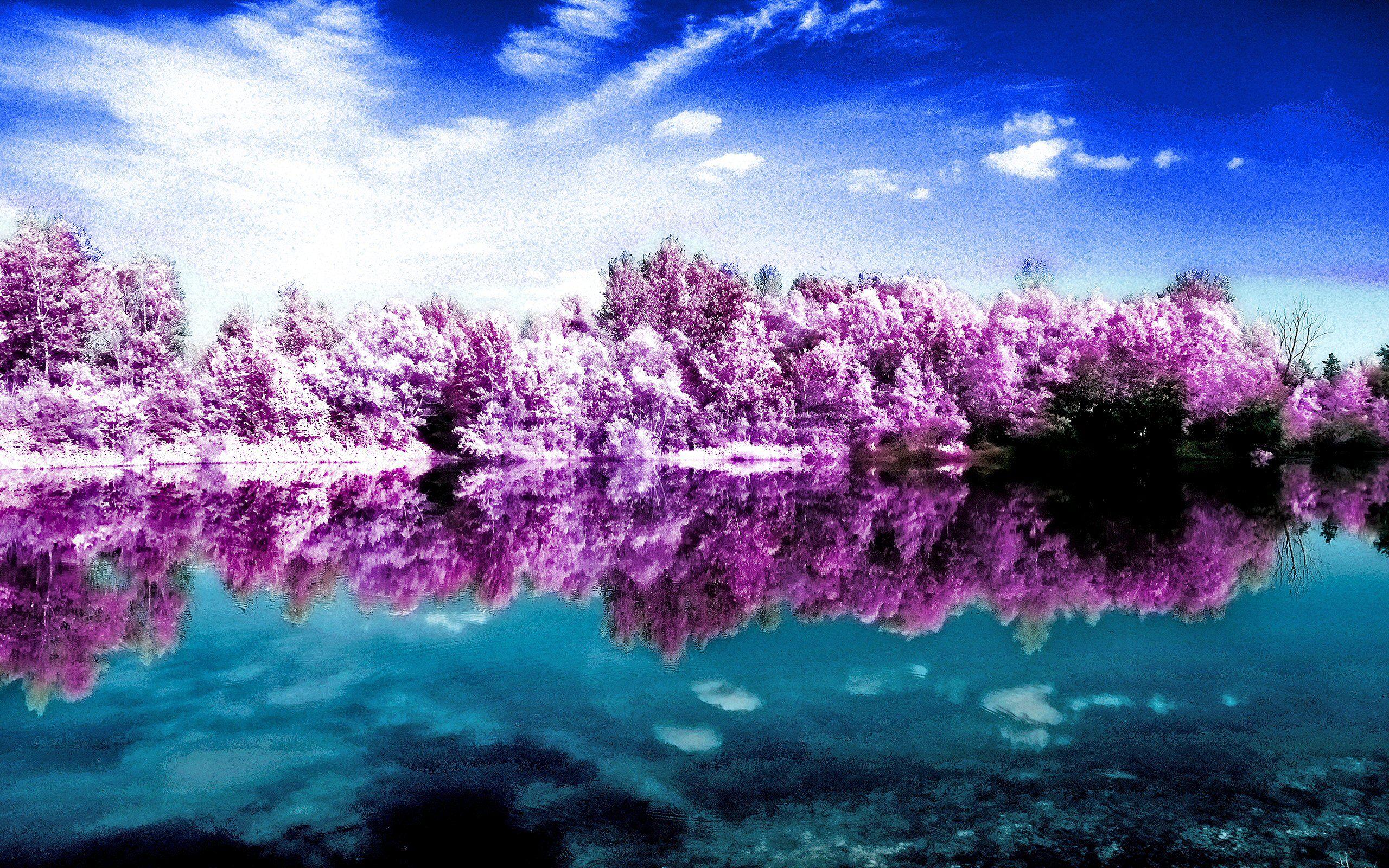 Infrared Wallpapers - Top Free Infrared Backgrounds - WallpaperAccess