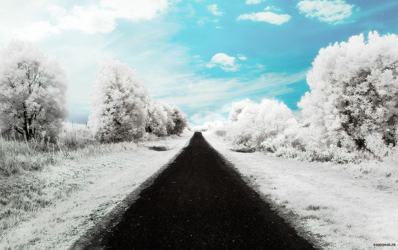 Infrared Wallpapers - Top Free Infrared Backgrounds - WallpaperAccess