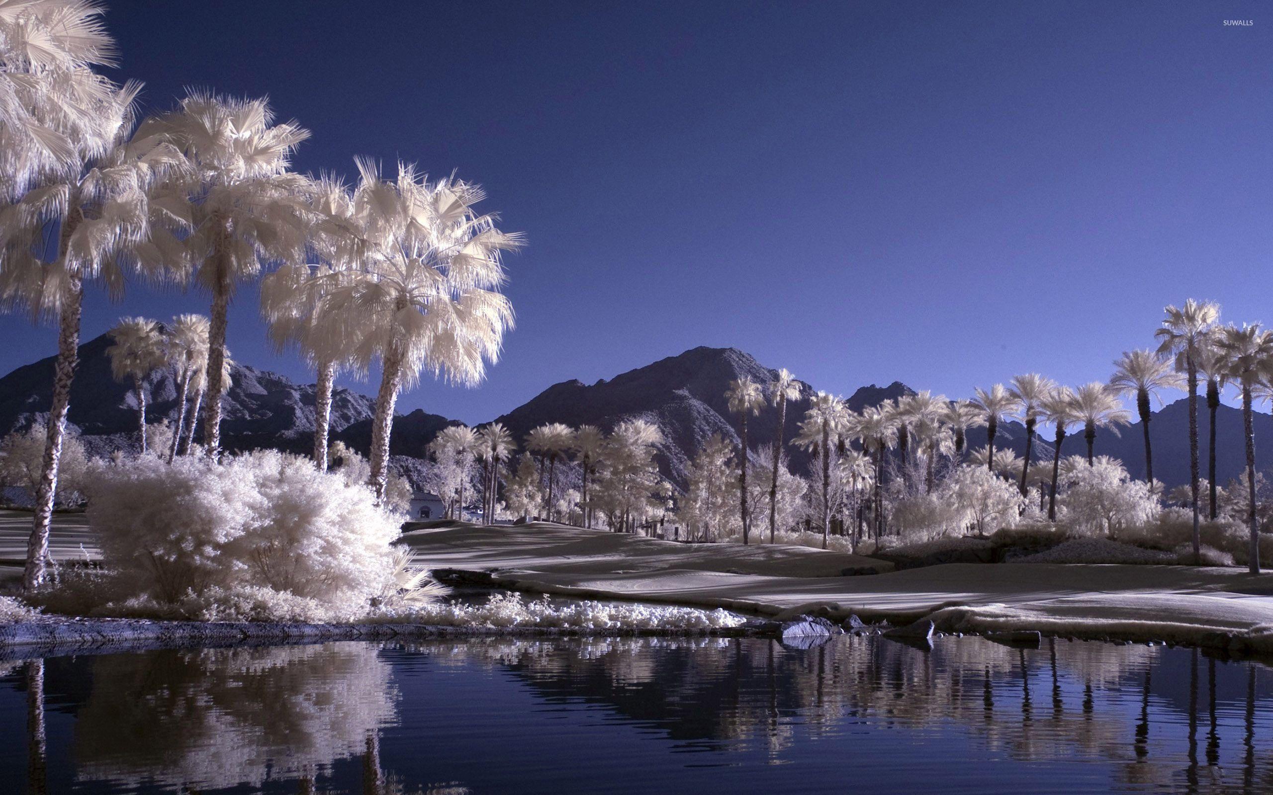 Infrared Wallpapers - Top Free Infrared Backgrounds - WallpaperAccess