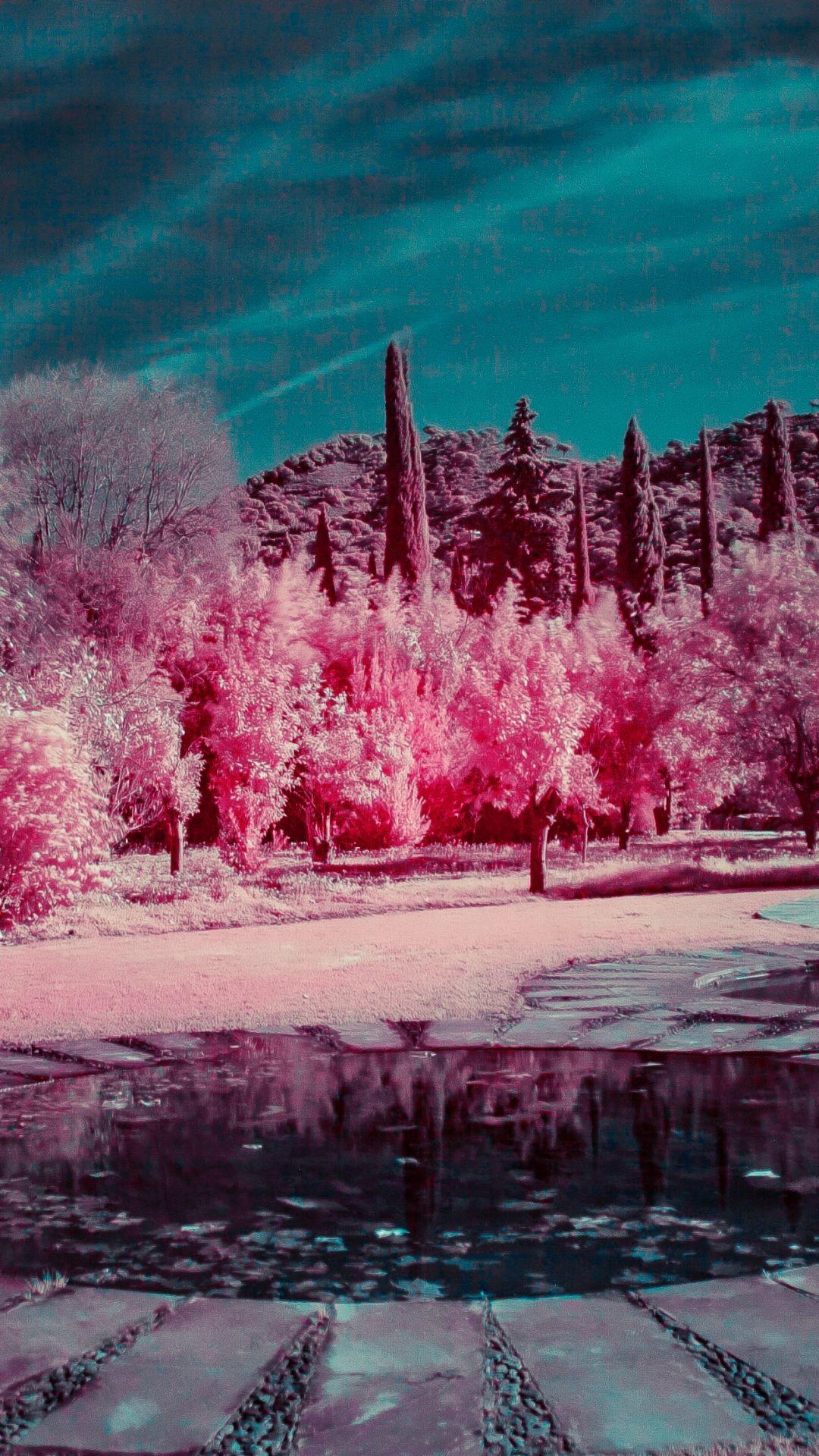 Infrared Wallpapers - Top Free Infrared Backgrounds - WallpaperAccess