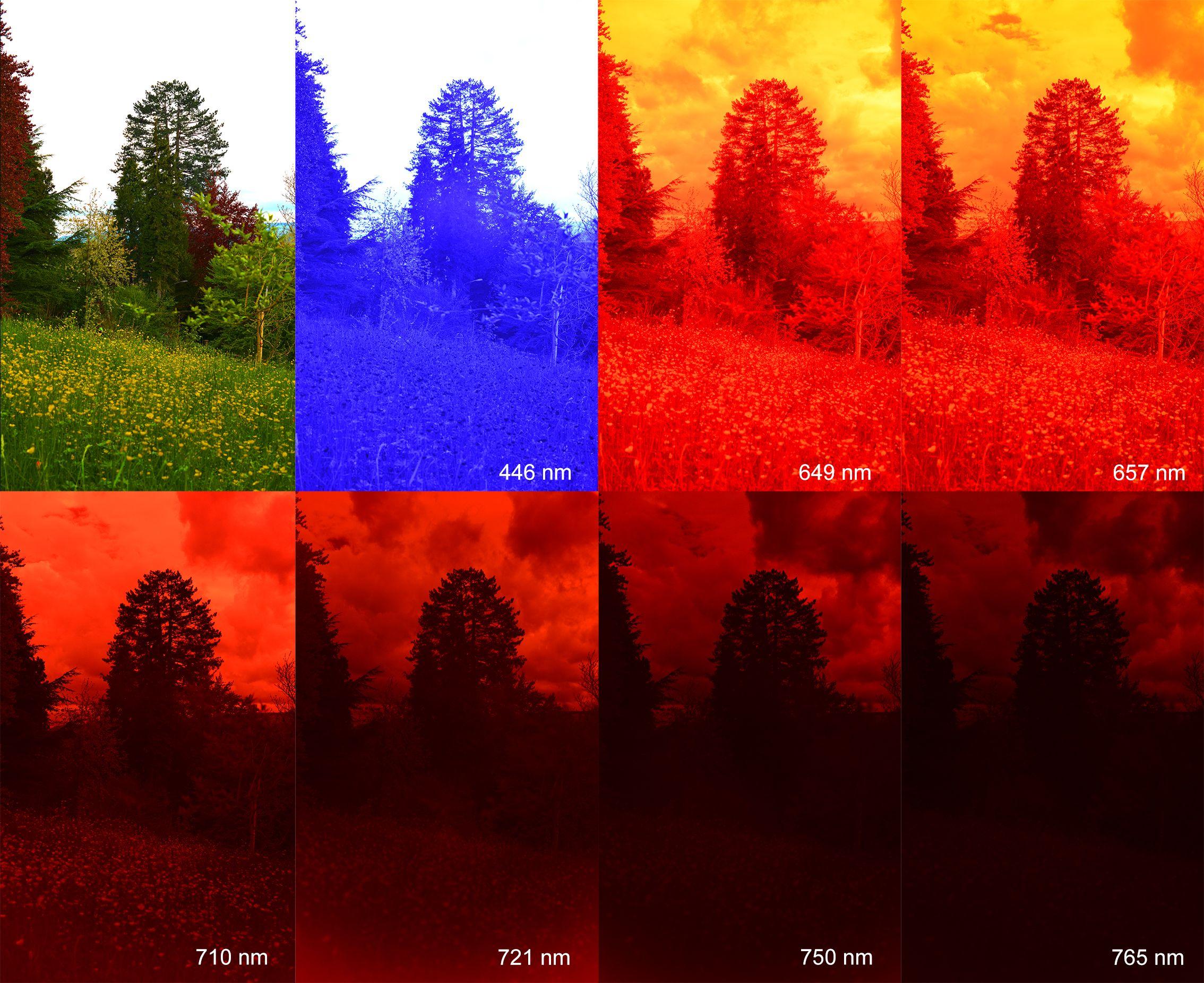 Infrared Wallpapers - Top Free Infrared Backgrounds - WallpaperAccess