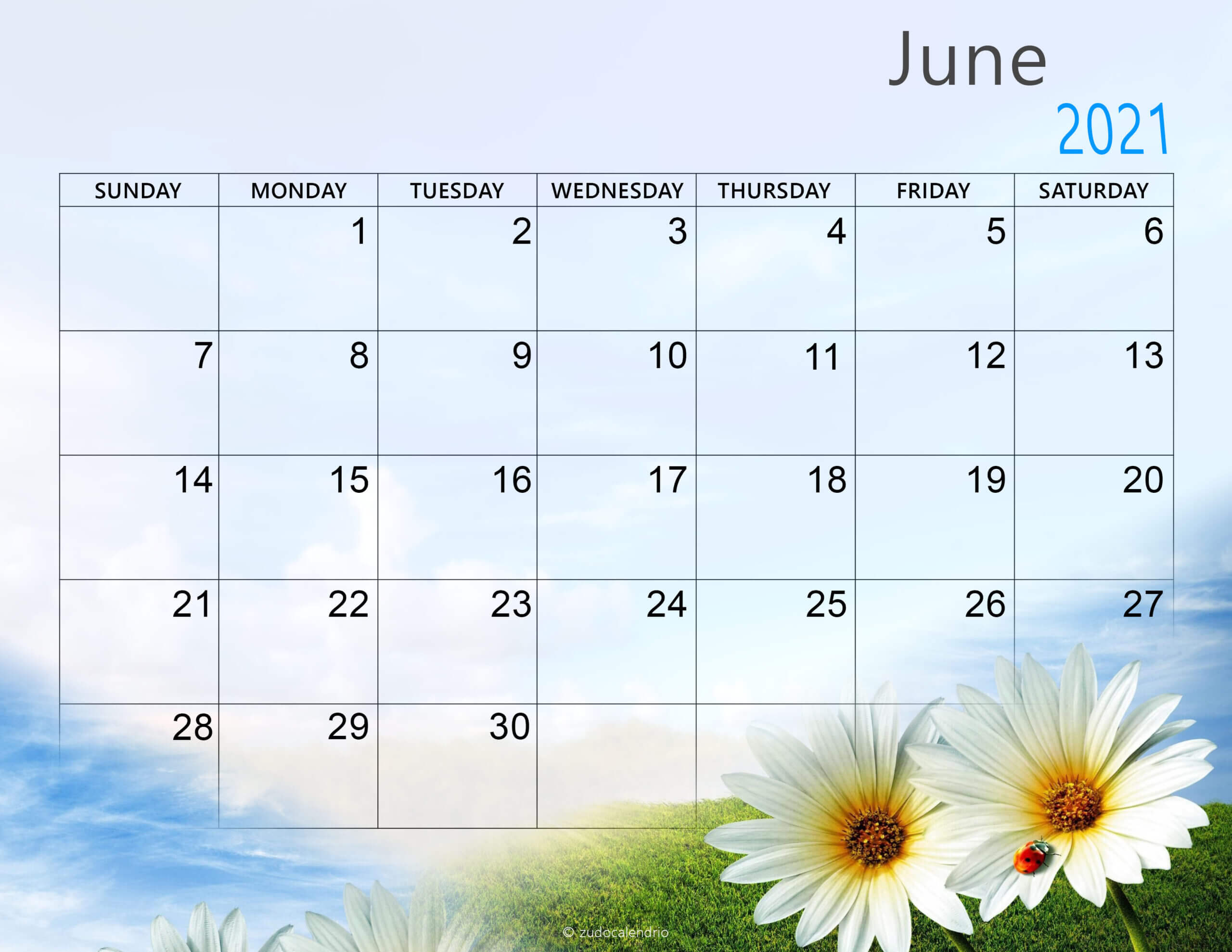 June 2021 Calendar Wallpapers - Top Free June 2021 Calendar Backgrounds ...