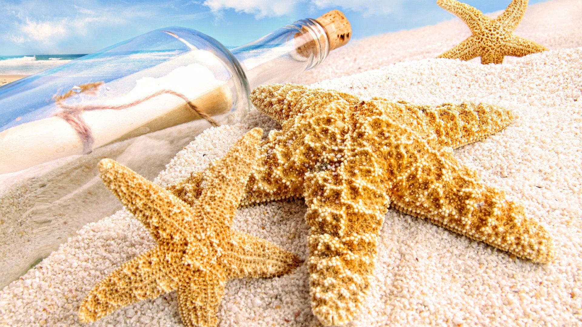 Sea Star Wallpapers - Top Free Sea Star Backgrounds - WallpaperAccess