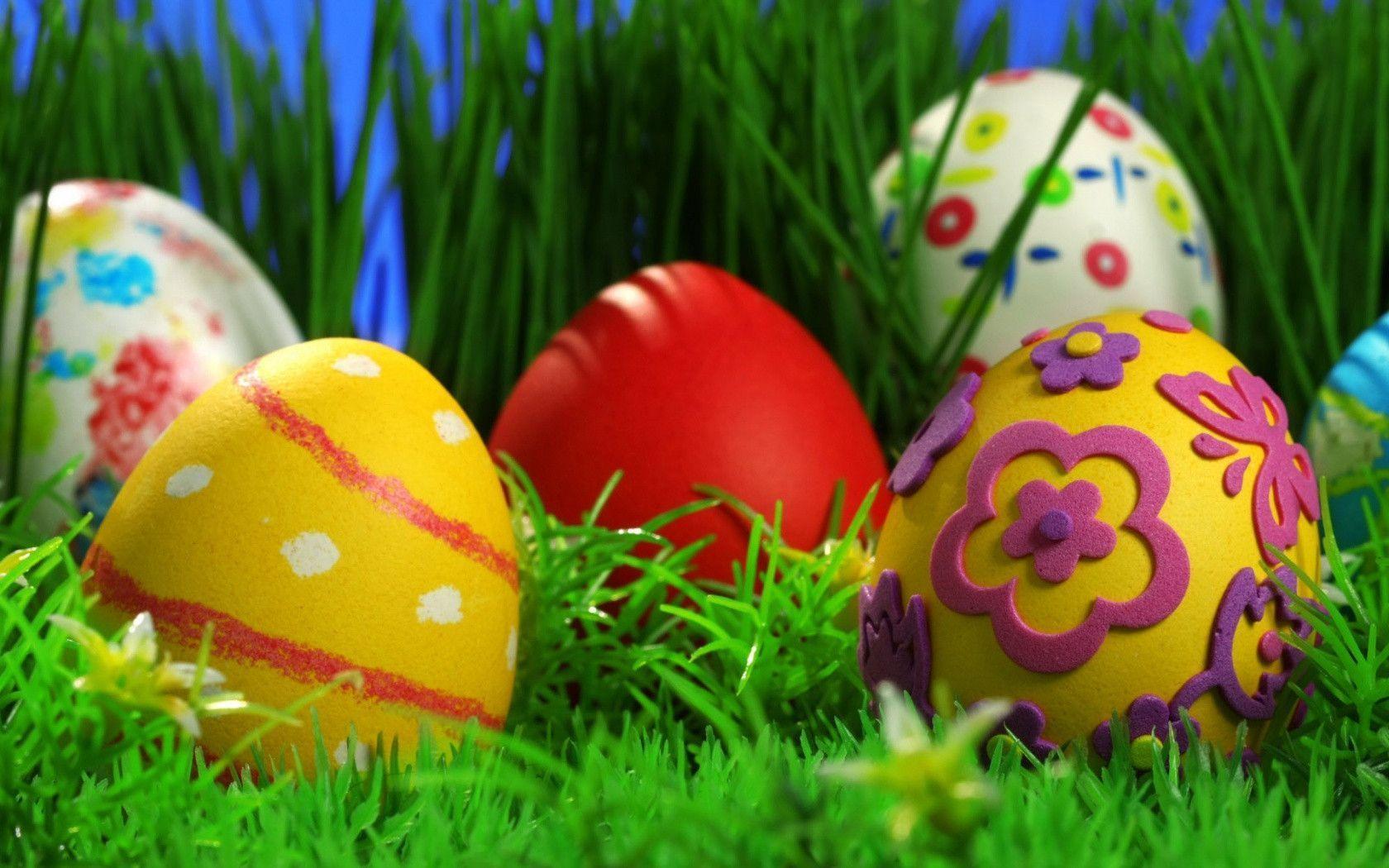 Eggs Wallpapers - Top Free Eggs Backgrounds - WallpaperAccess