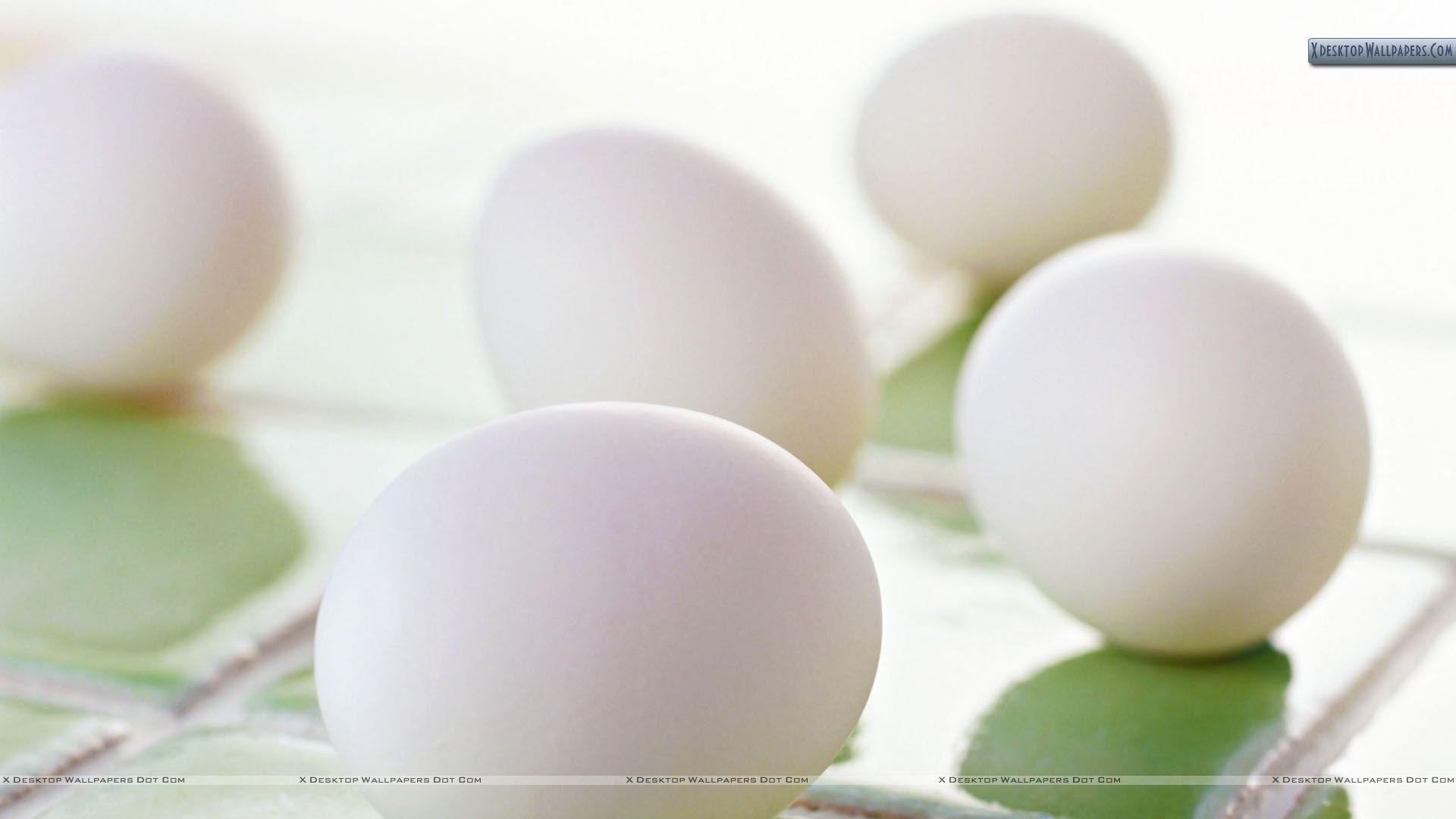 Eggs Wallpapers - Top Free Eggs Backgrounds - WallpaperAccess