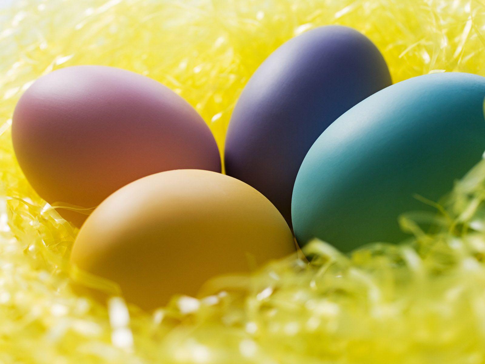 Eggs Wallpapers - Top Free Eggs Backgrounds - WallpaperAccess