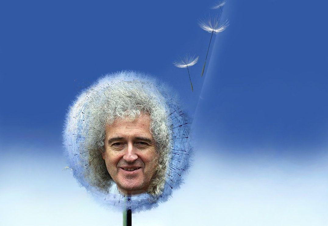Brian May Wallpapers - Top Free Brian May Backgrounds - WallpaperAccess