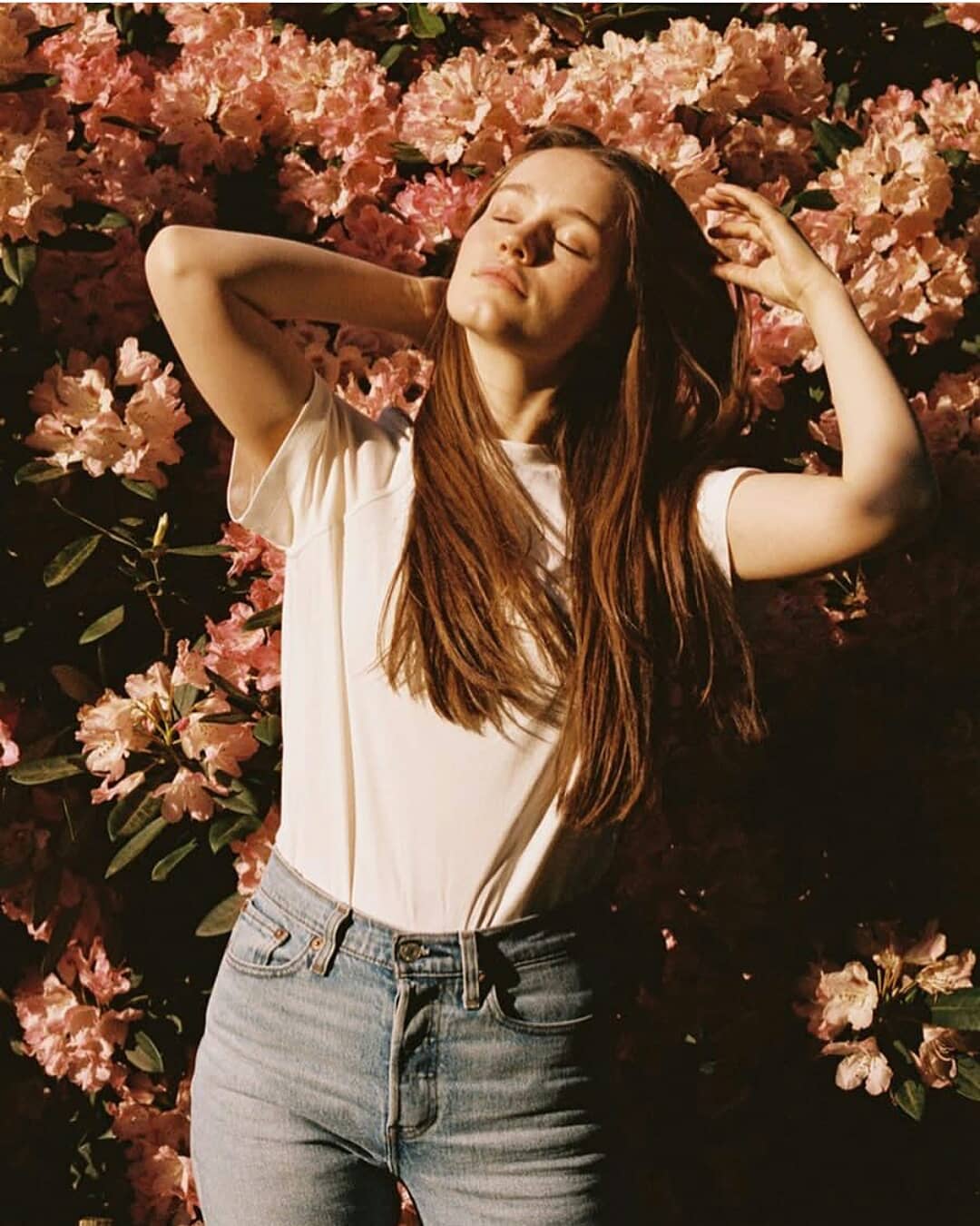 Sigrid Wallpapers - Top Free Sigrid Backgrounds - WallpaperAccess