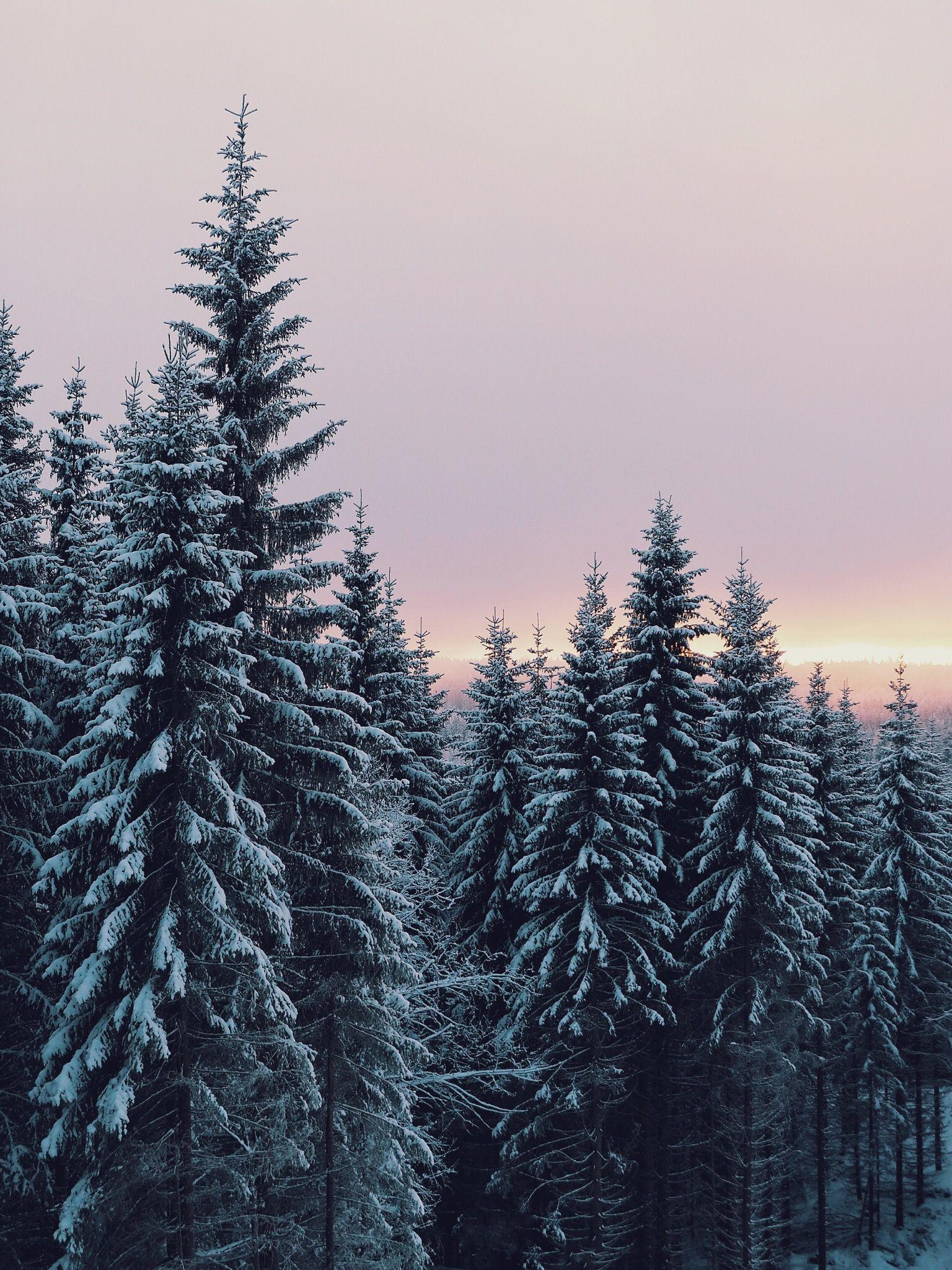 VSCO Winter Wallpapers - Top Free VSCO Winter Backgrounds - WallpaperAccess