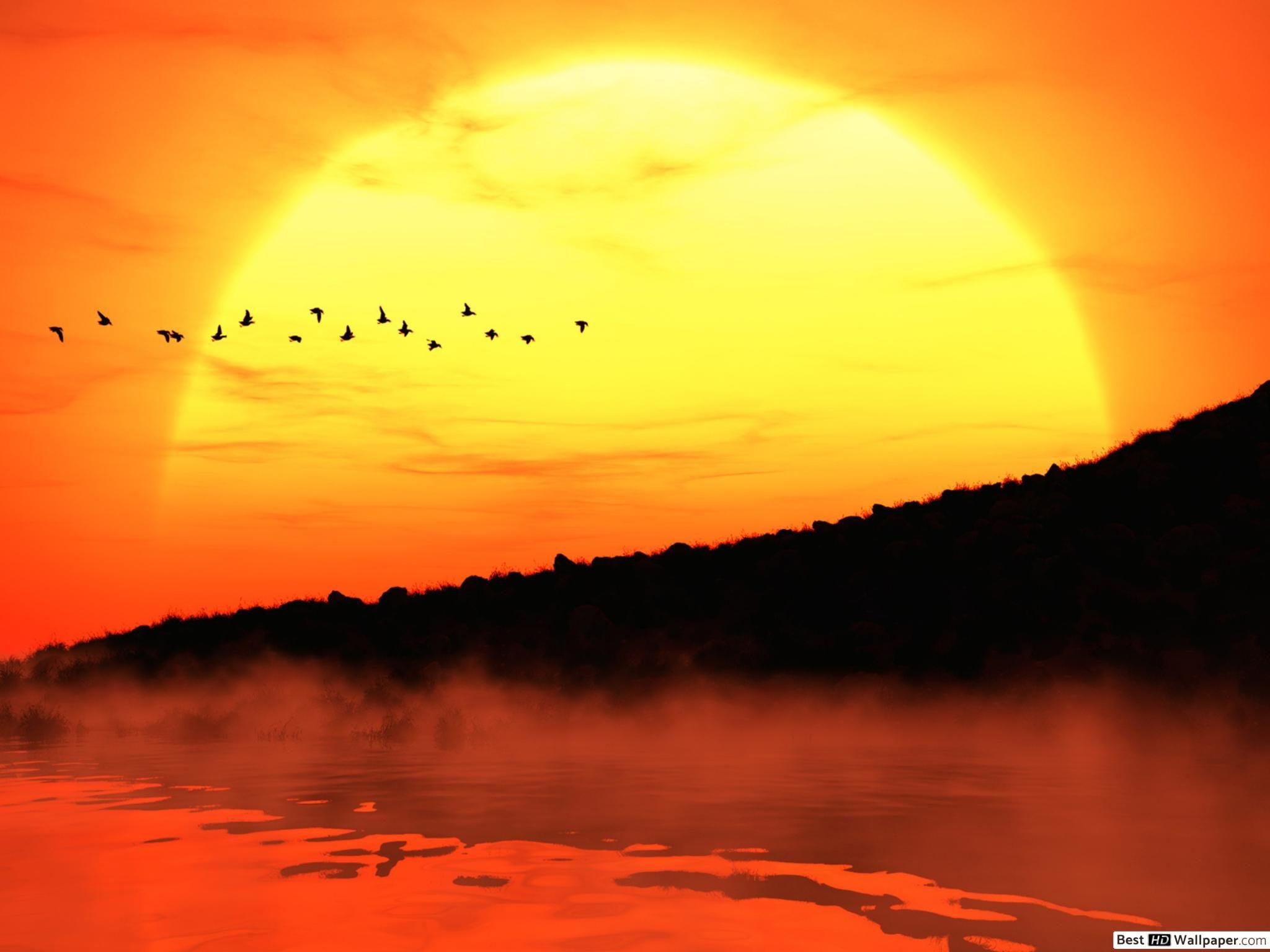 Yellow Sunset Wallpapers - Top Free Yellow Sunset Backgrounds ...