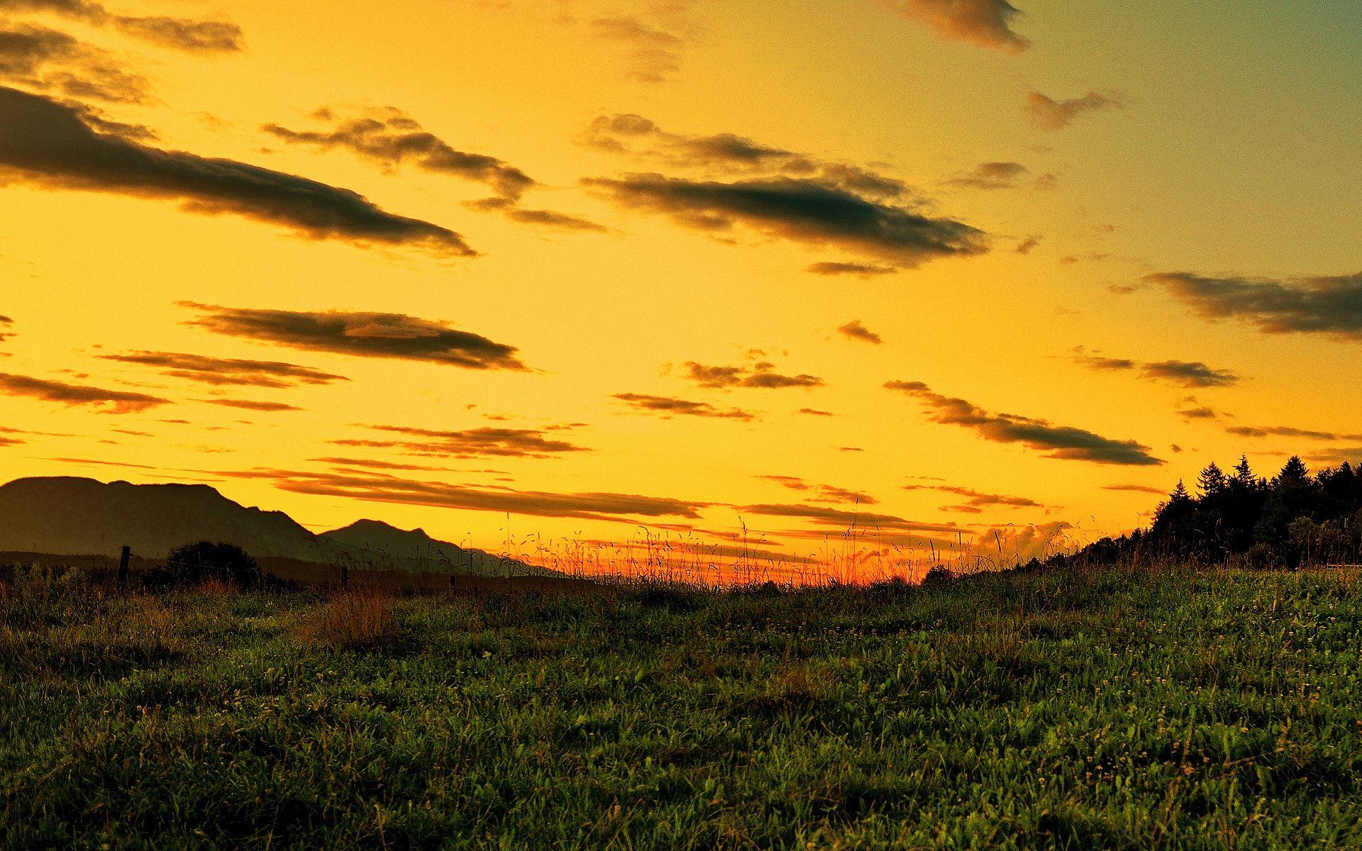 Yellow Sunset Wallpapers - Top Free Yellow Sunset Backgrounds ...