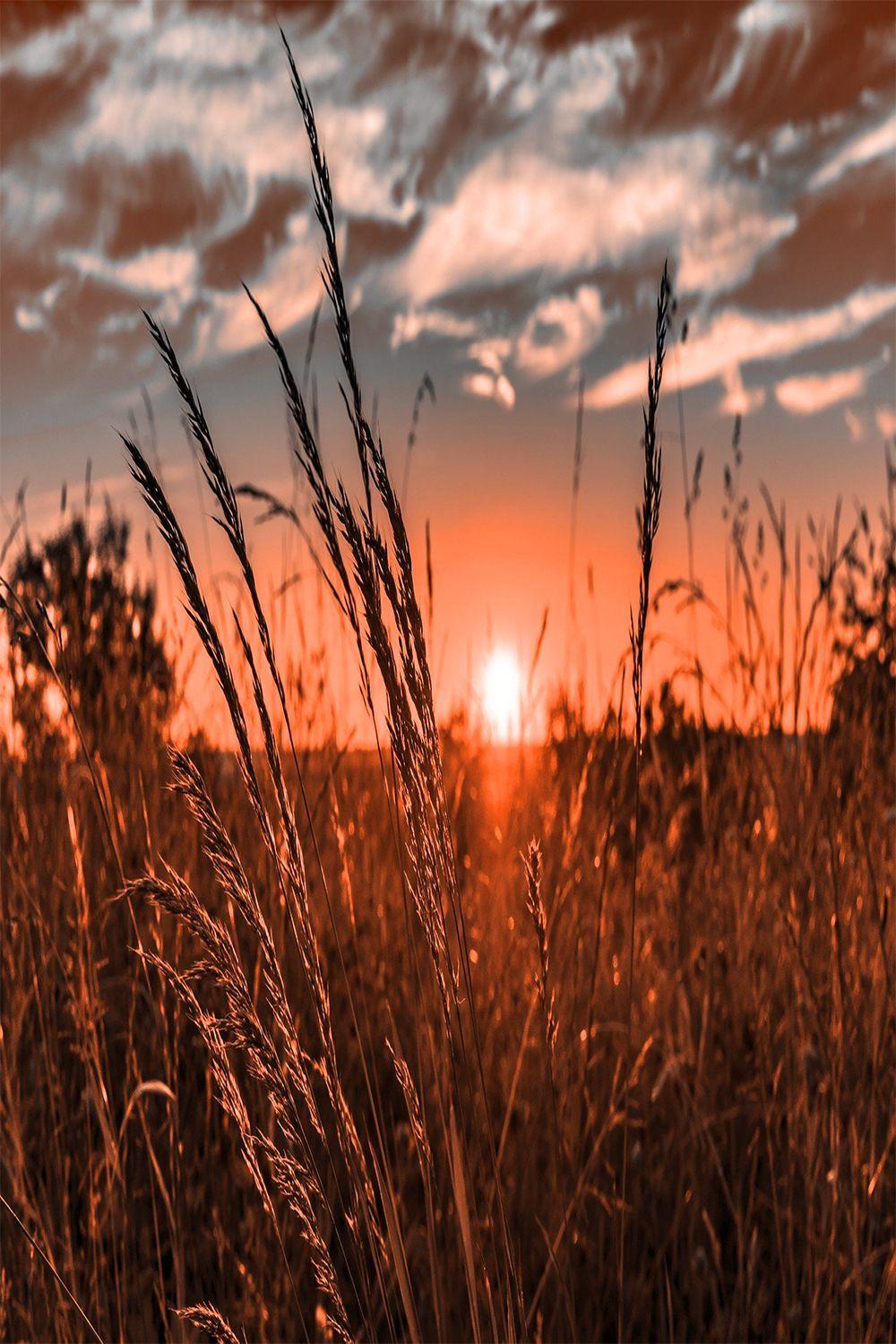 Prairie Sunset Wallpapers - Top Free Prairie Sunset Backgrounds ...