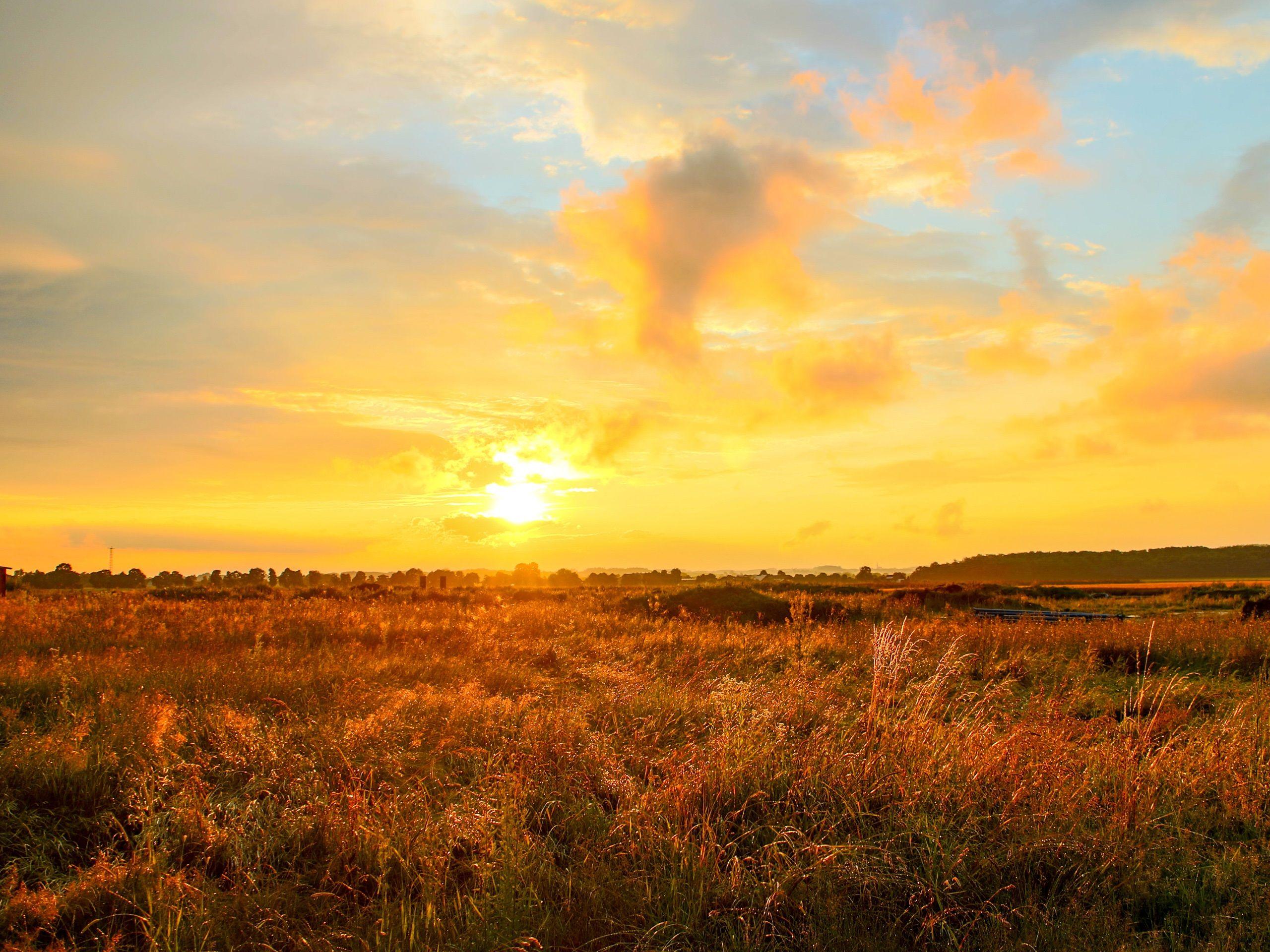 Yellow Sunset Wallpapers - Top Free Yellow Sunset Backgrounds ...