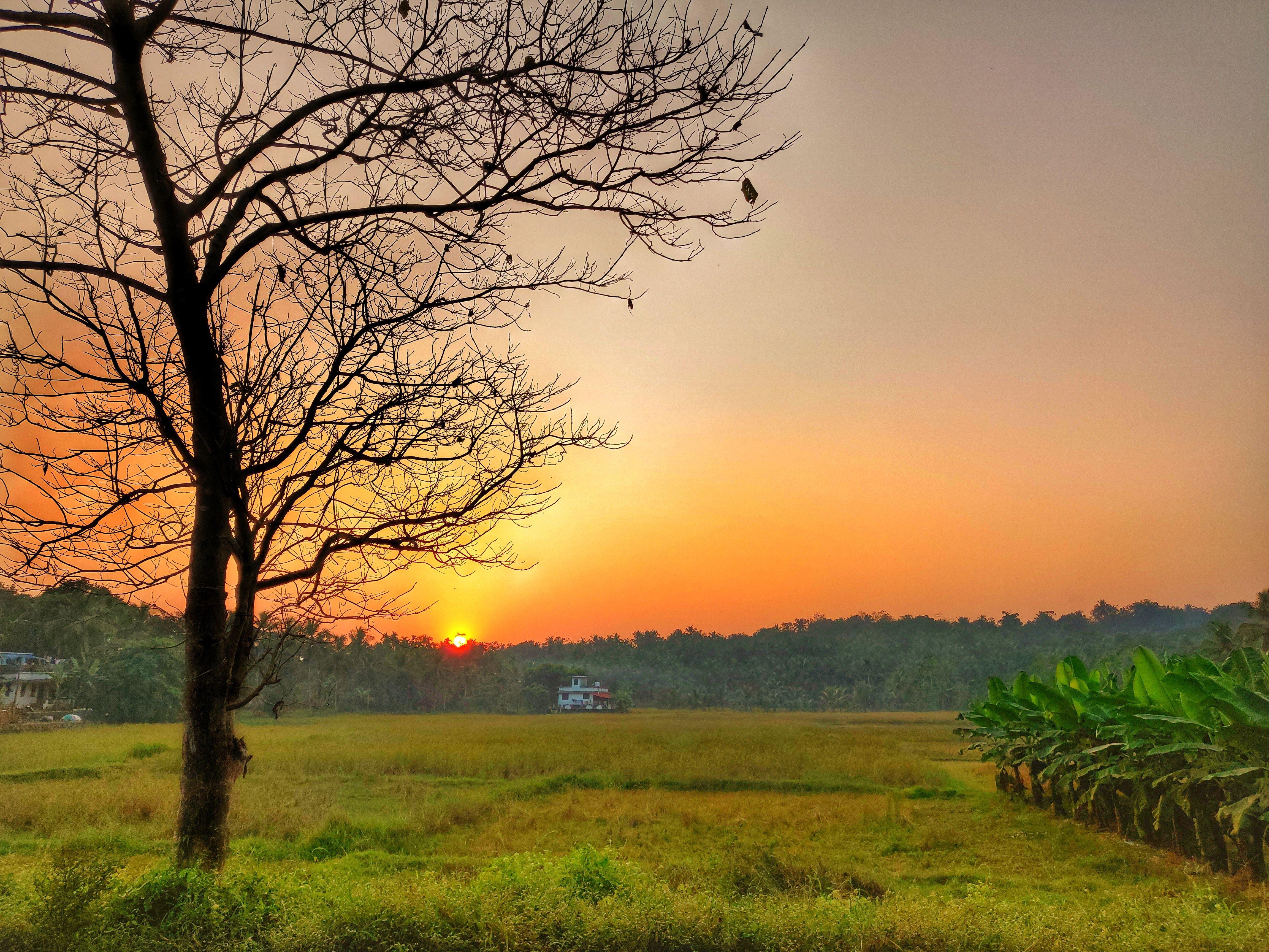 Paddy Field Wallpapers - Top Free Paddy Field Backgrounds - WallpaperAccess