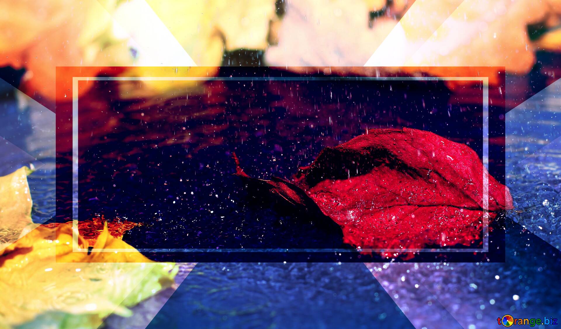 Brochure Wallpapers - Top Free Brochure Backgrounds - WallpaperAccess