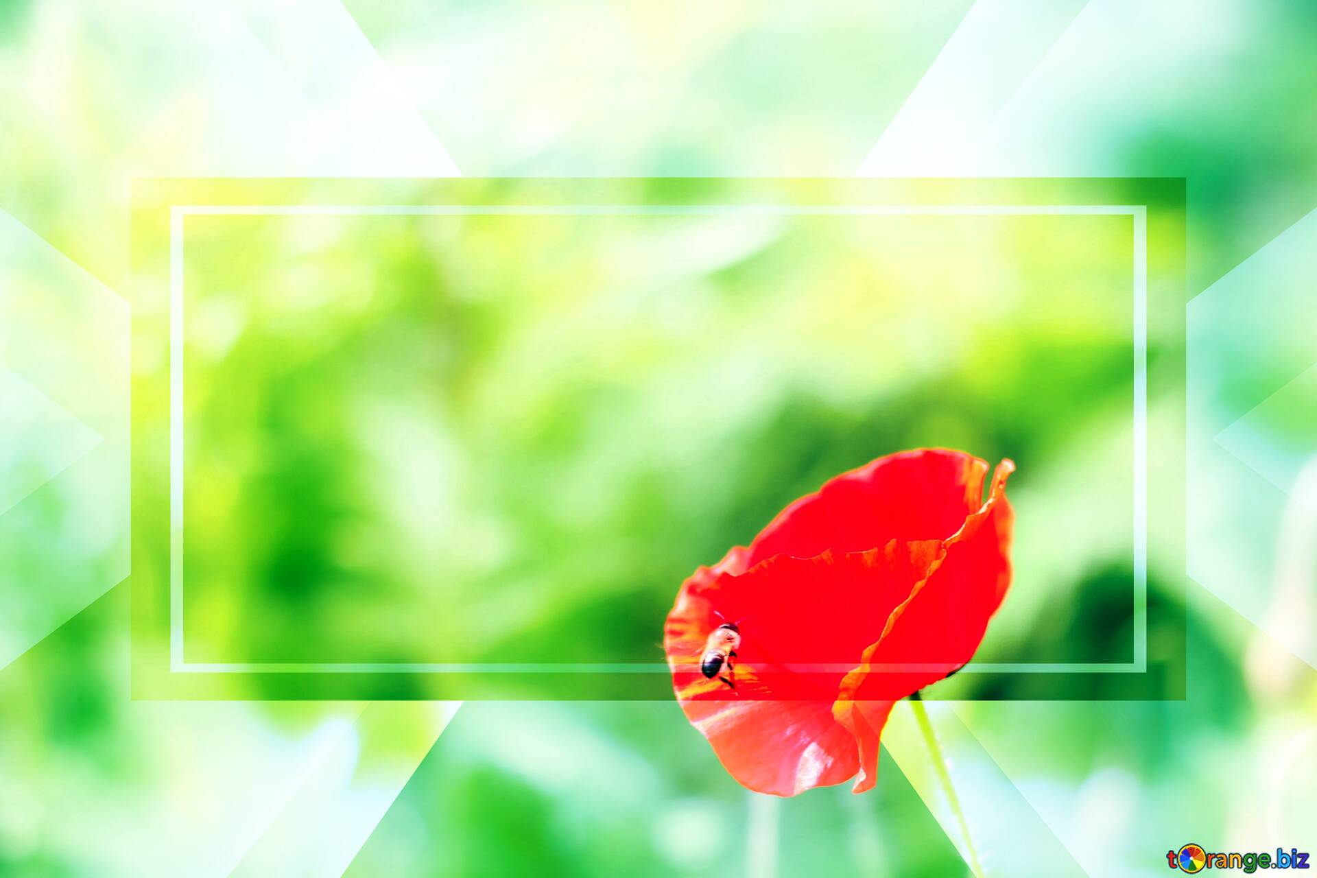 Brochure Wallpapers - Top Free Brochure Backgrounds - WallpaperAccess