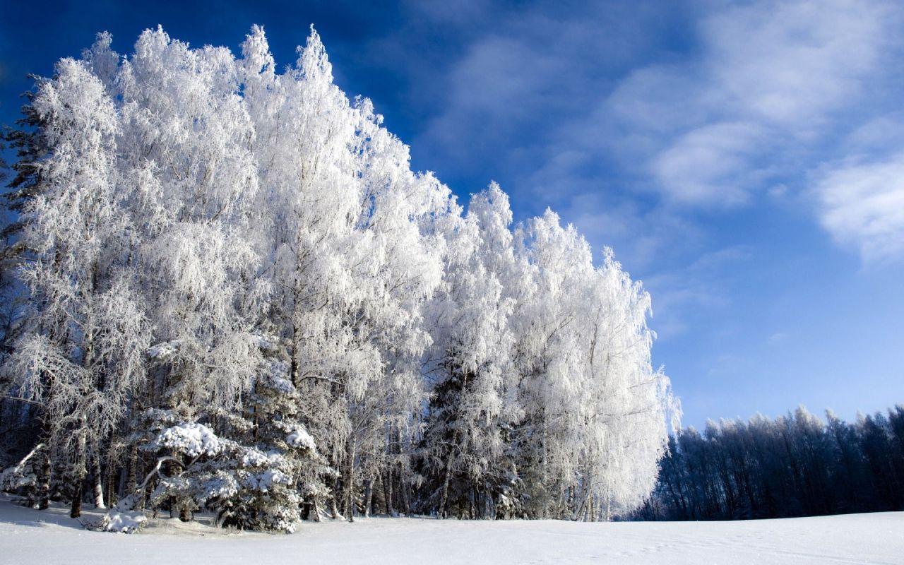 Beautiful Winter HD Desktop Wallpapers - Top Free Beautiful Winter HD ...