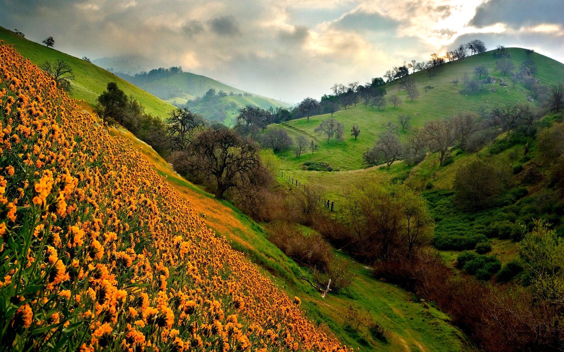 Georgia Landscape Wallpapers - Top Free Georgia Landscape Backgrounds ...