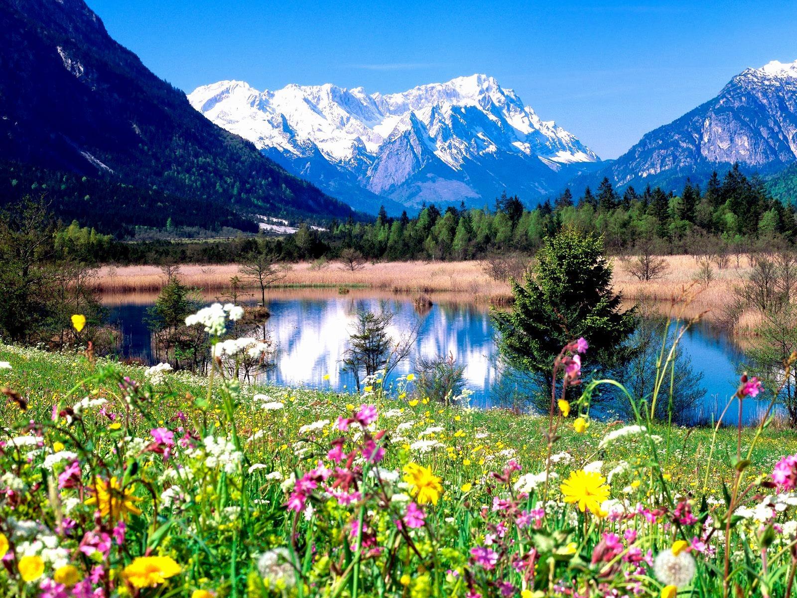 Beautiful Nature Spring Wallpapers - Top Free Beautiful Nature Spring ...
