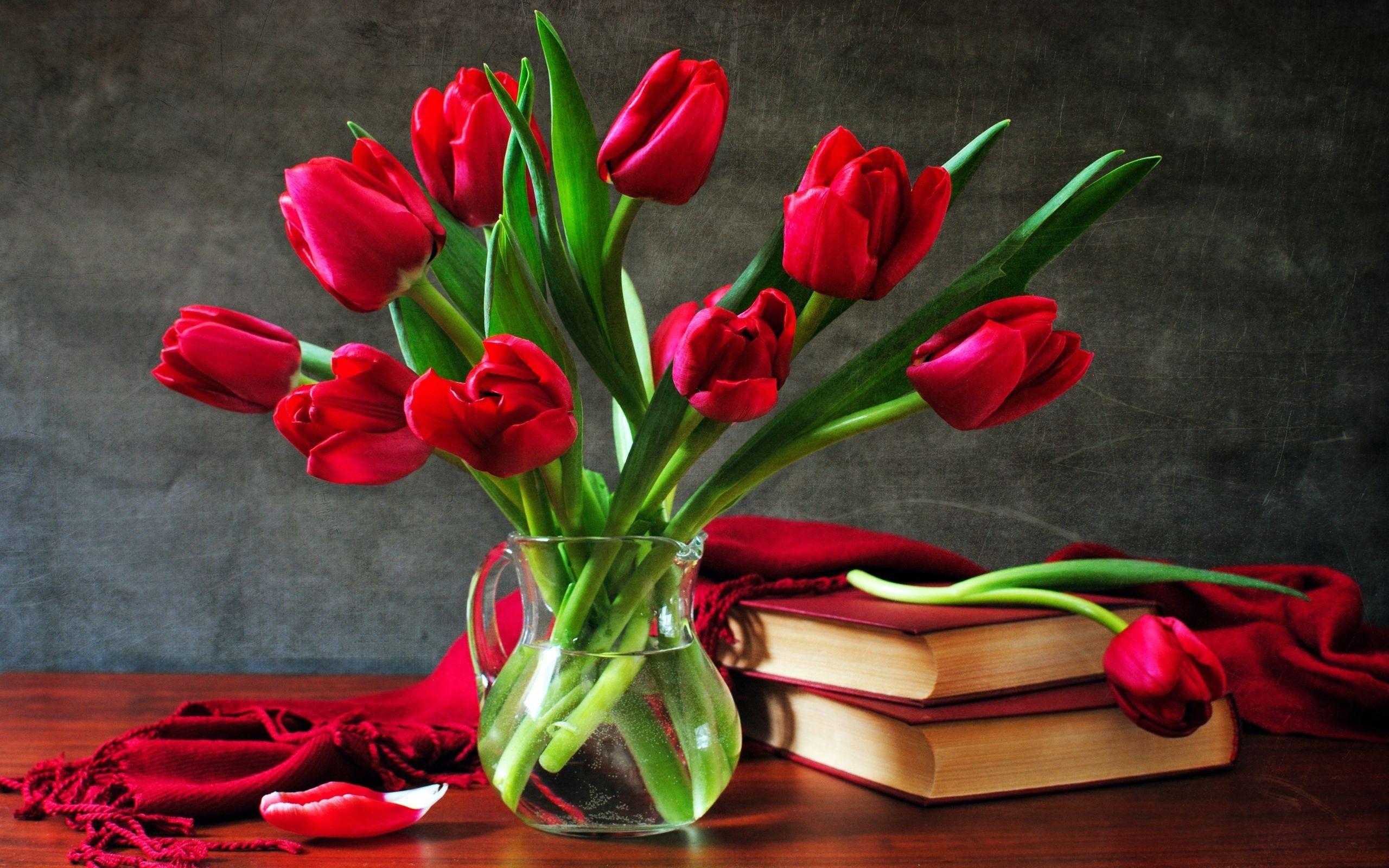 Red Tulip Wallpapers - Top Free Red Tulip Backgrounds - WallpaperAccess