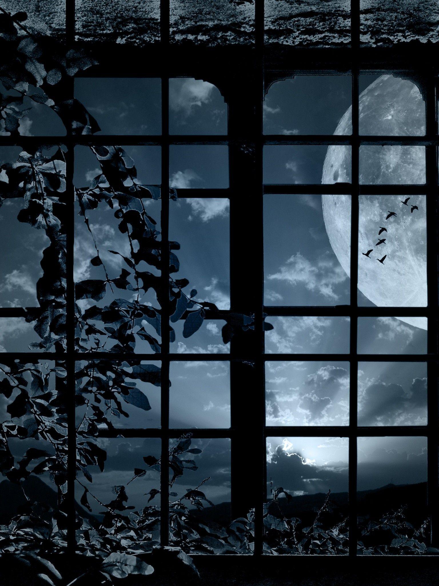 Night Window Wallpapers - Top Free Night Window Backgrounds ...