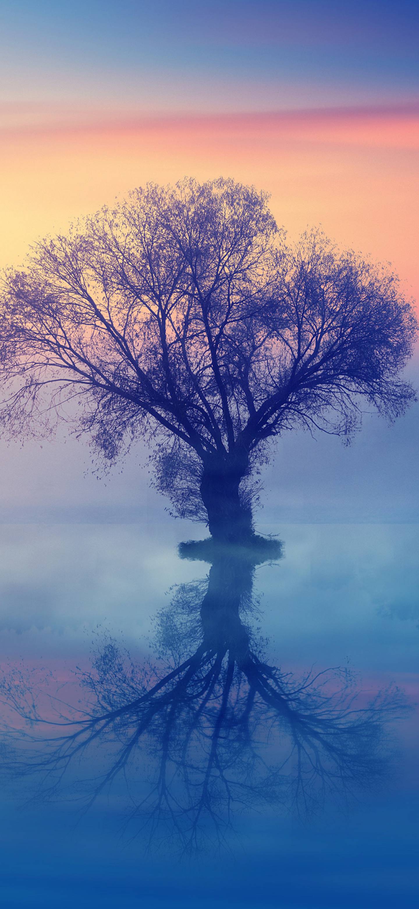 Lonely Tree Wallpapers - Top Free Lonely Tree Backgrounds - WallpaperAccess