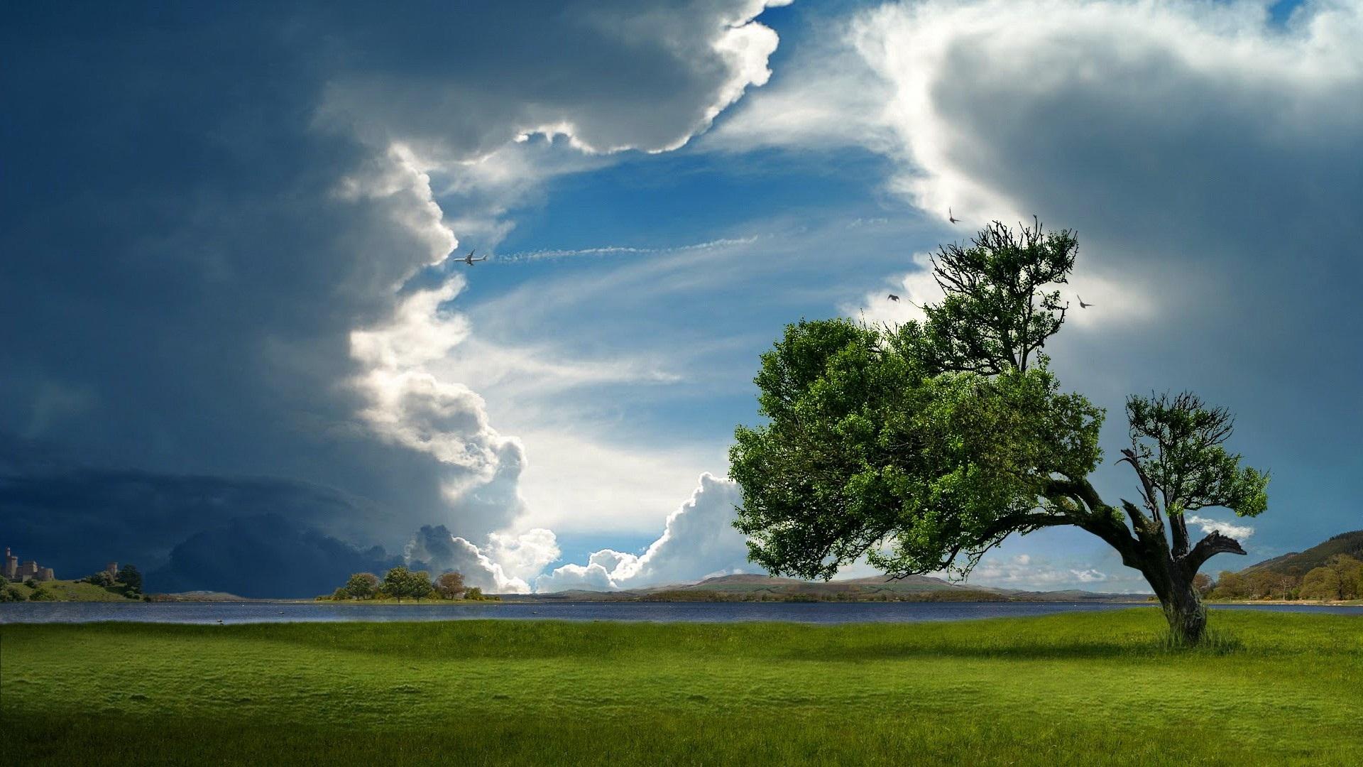 Alone Tree Wallpapers - Top Free Alone Tree Backgrounds - WallpaperAccess